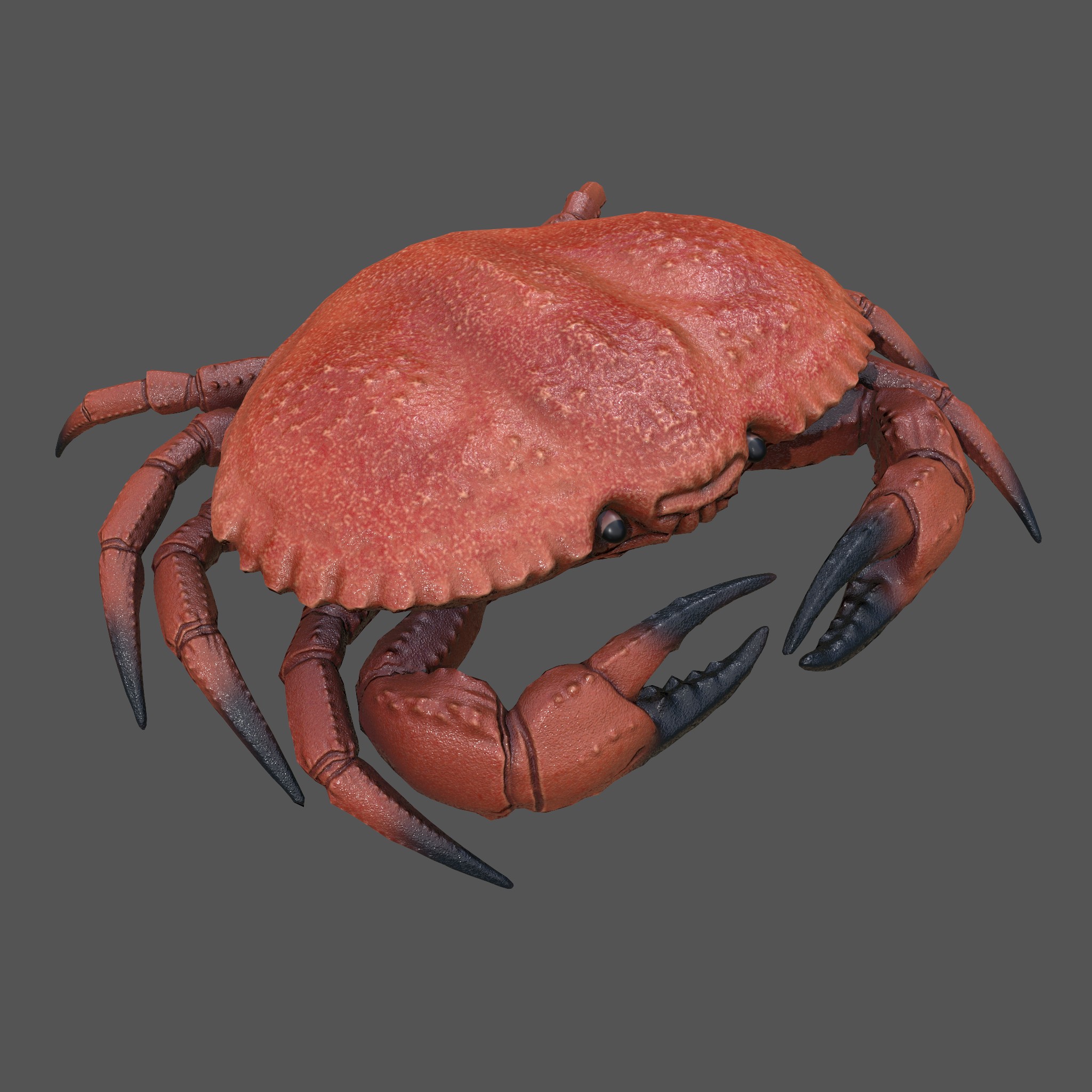 Crab Big Red - 3D Model by Get Dead Entertainment