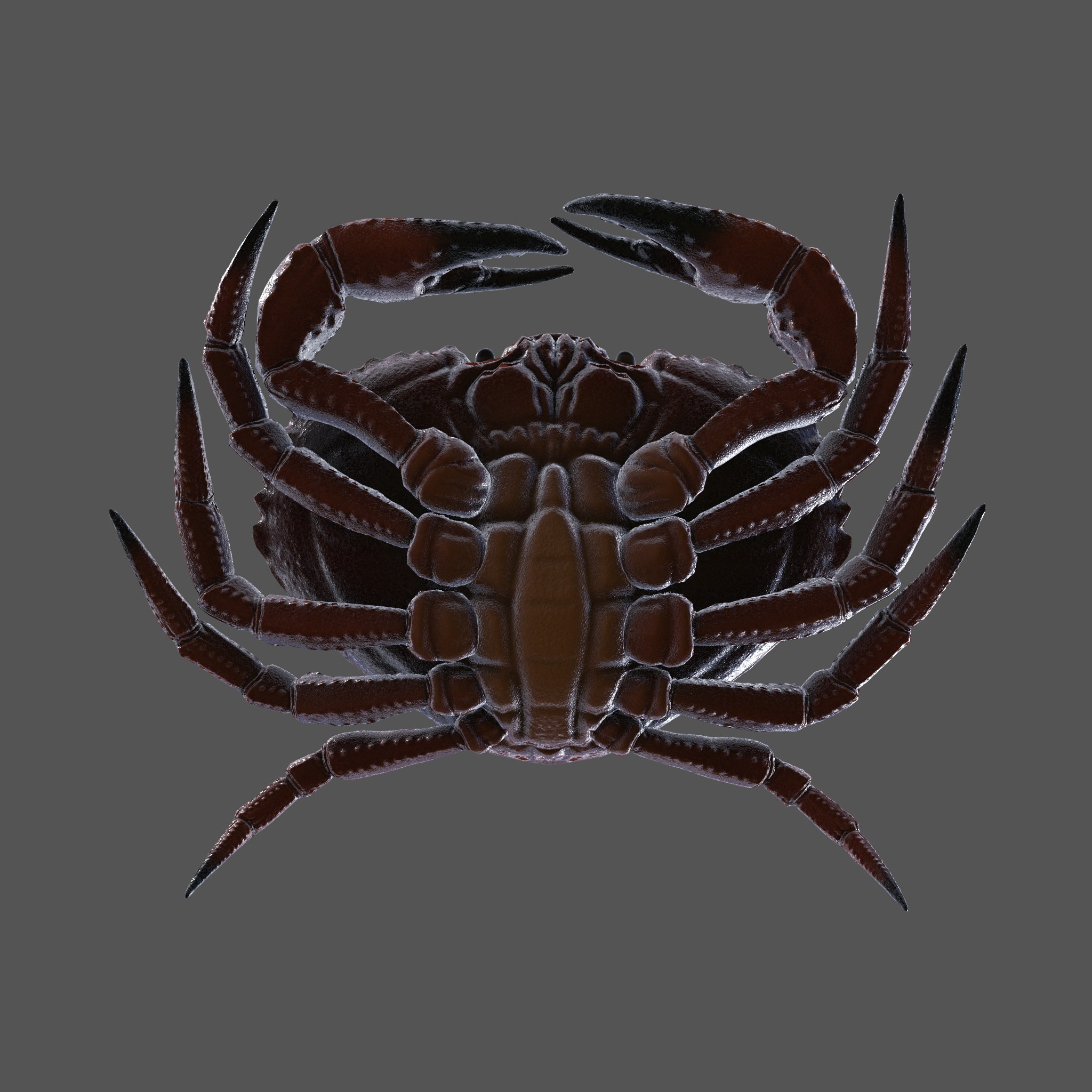 Crab Big Red - 3D Model by Get Dead Entertainment