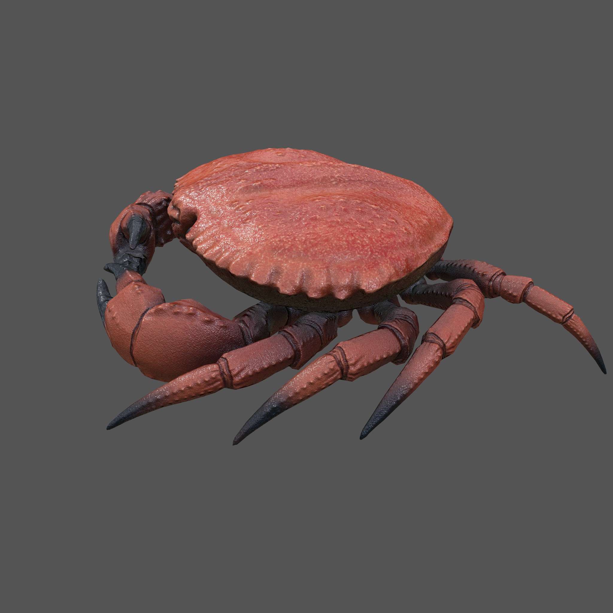 Crab Big Red - 3D Model by Get Dead Entertainment