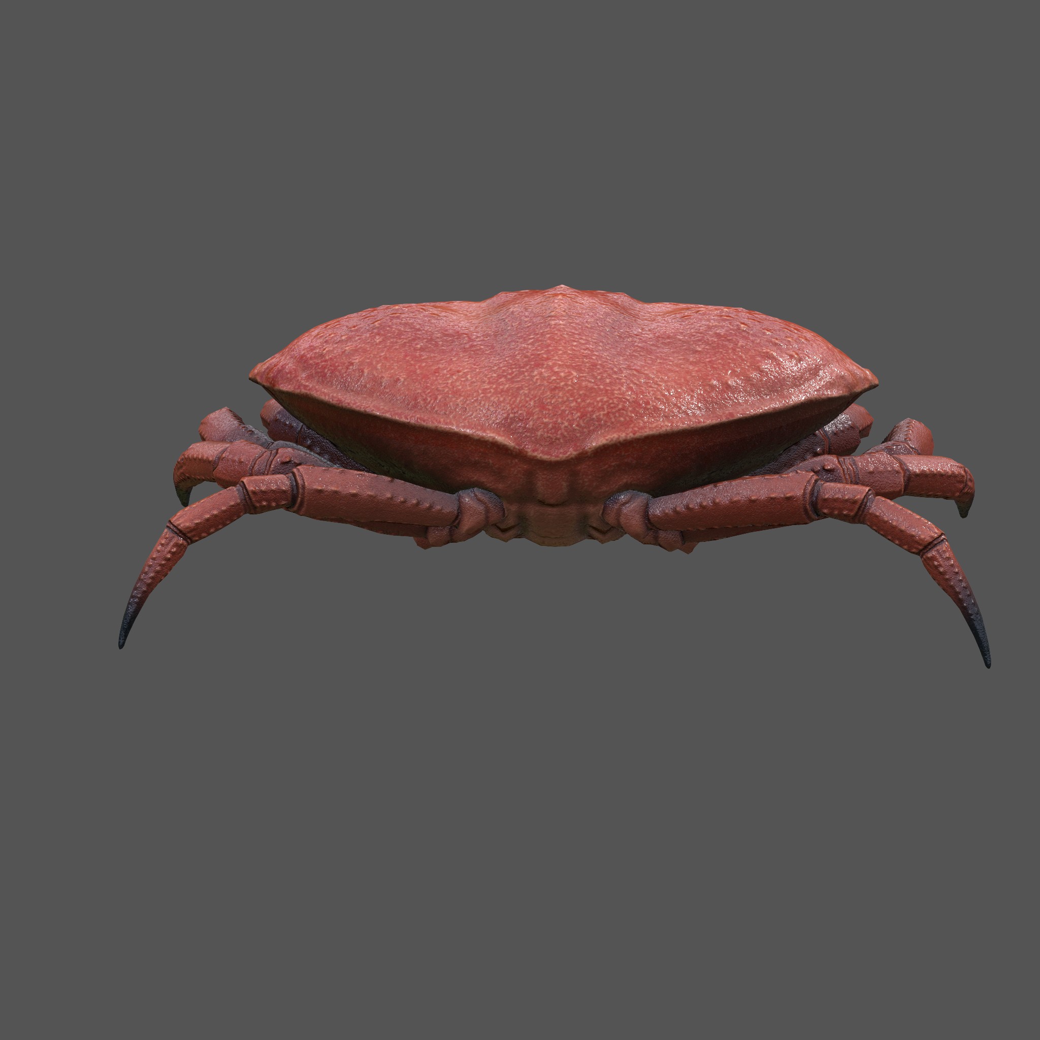 Crab Big Red - 3D Model by Get Dead Entertainment