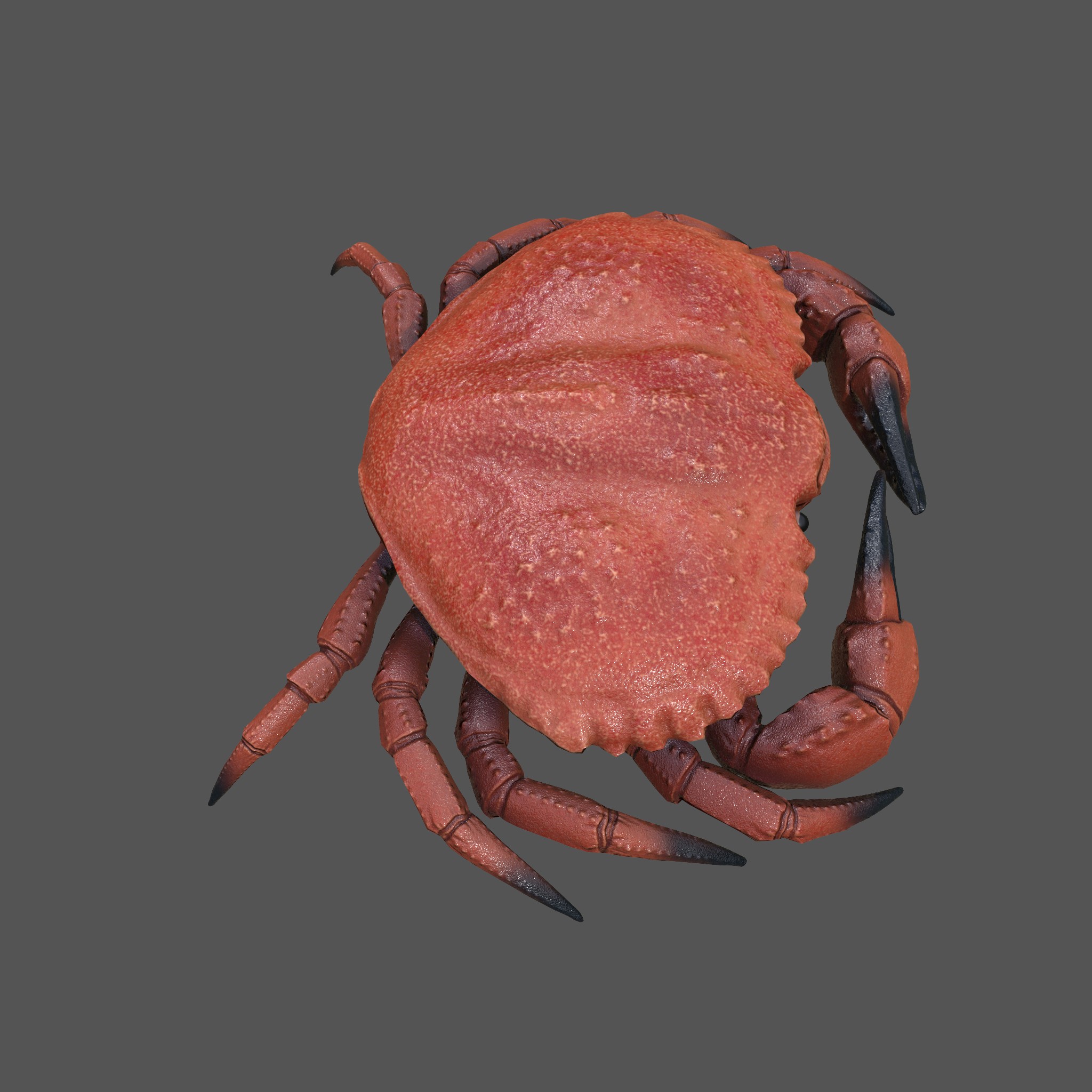 Crab Big Red - 3D Model by Get Dead Entertainment