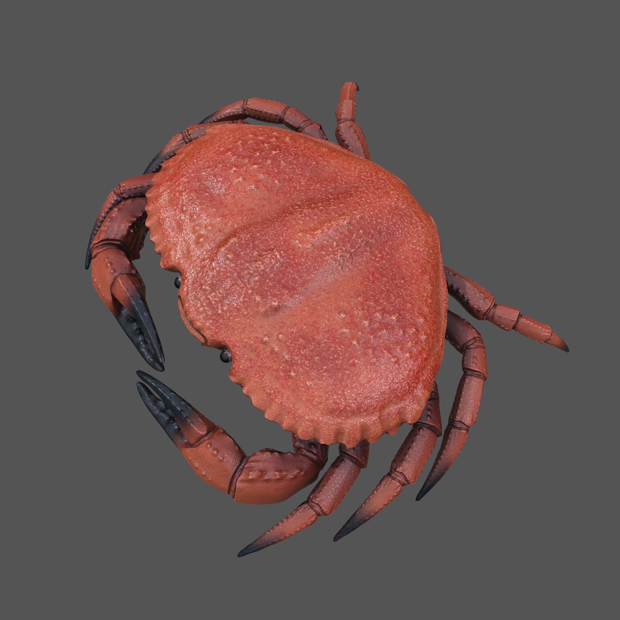 Crab Big Red - 3D Model by Get Dead Entertainment