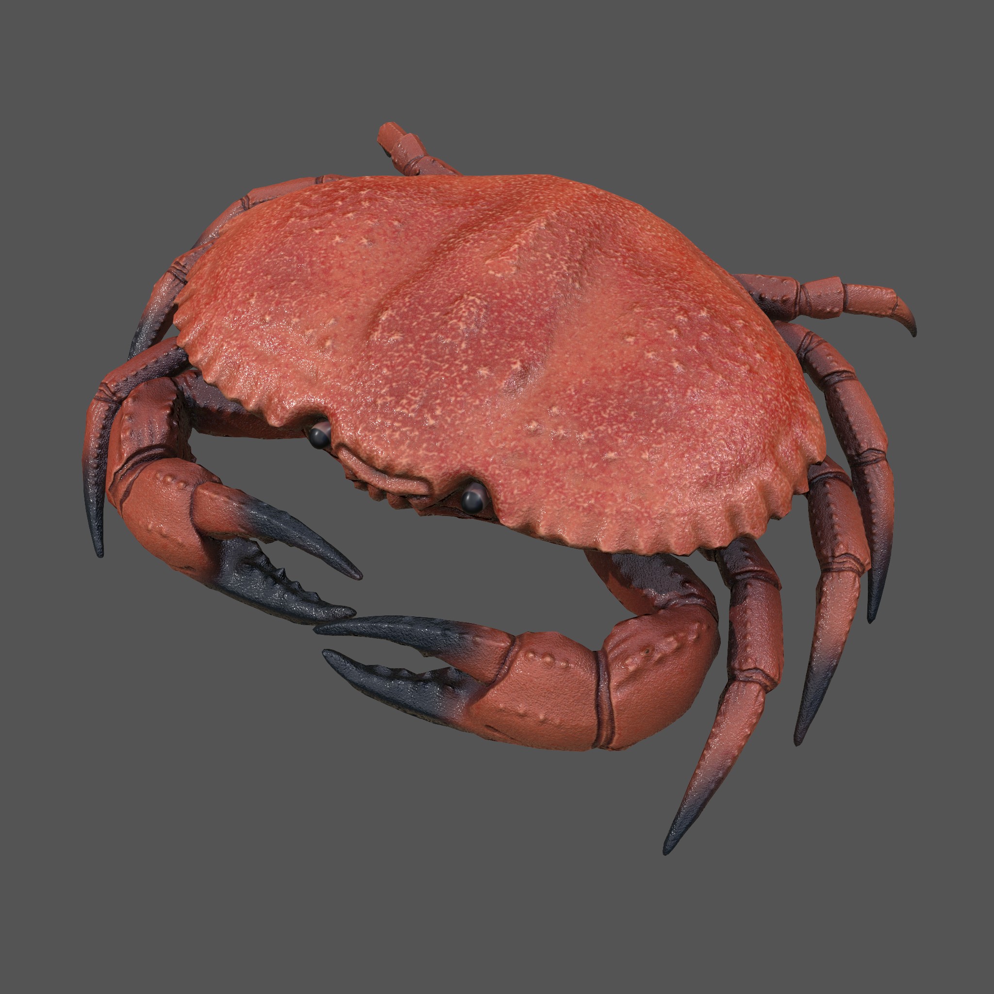 Crab Big Red - 3D Model by Get Dead Entertainment
