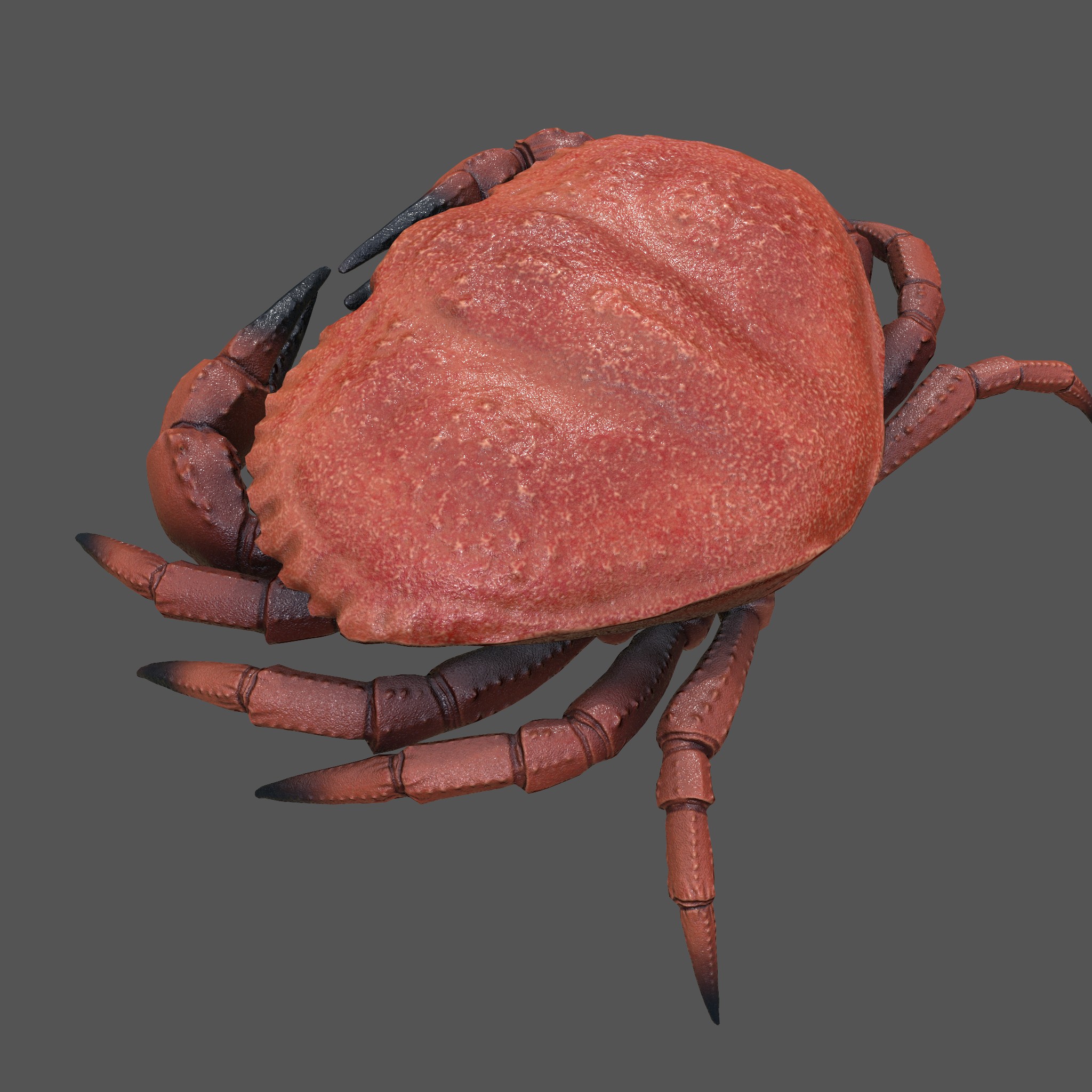 Crab Big Red - 3D Model by Get Dead Entertainment