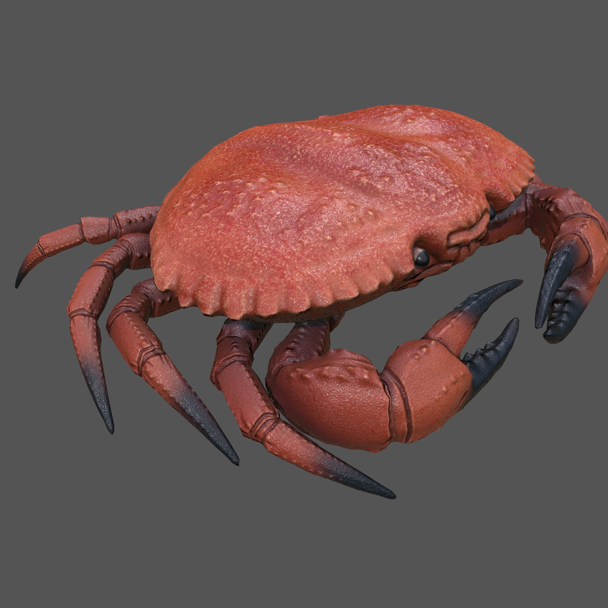 Crab Big Red - 3D Model by Get Dead Entertainment