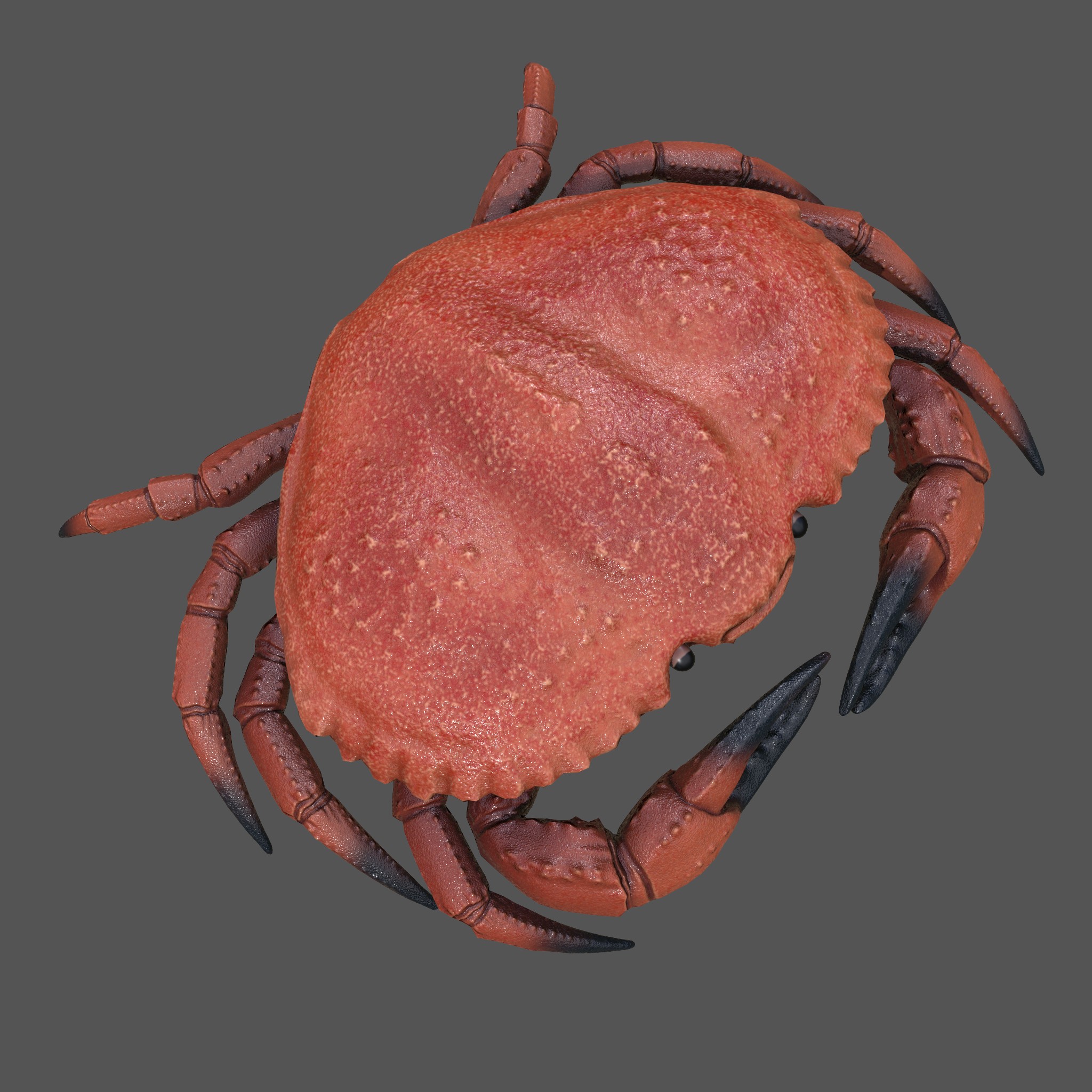 Crab Big Red - 3D Model by Get Dead Entertainment
