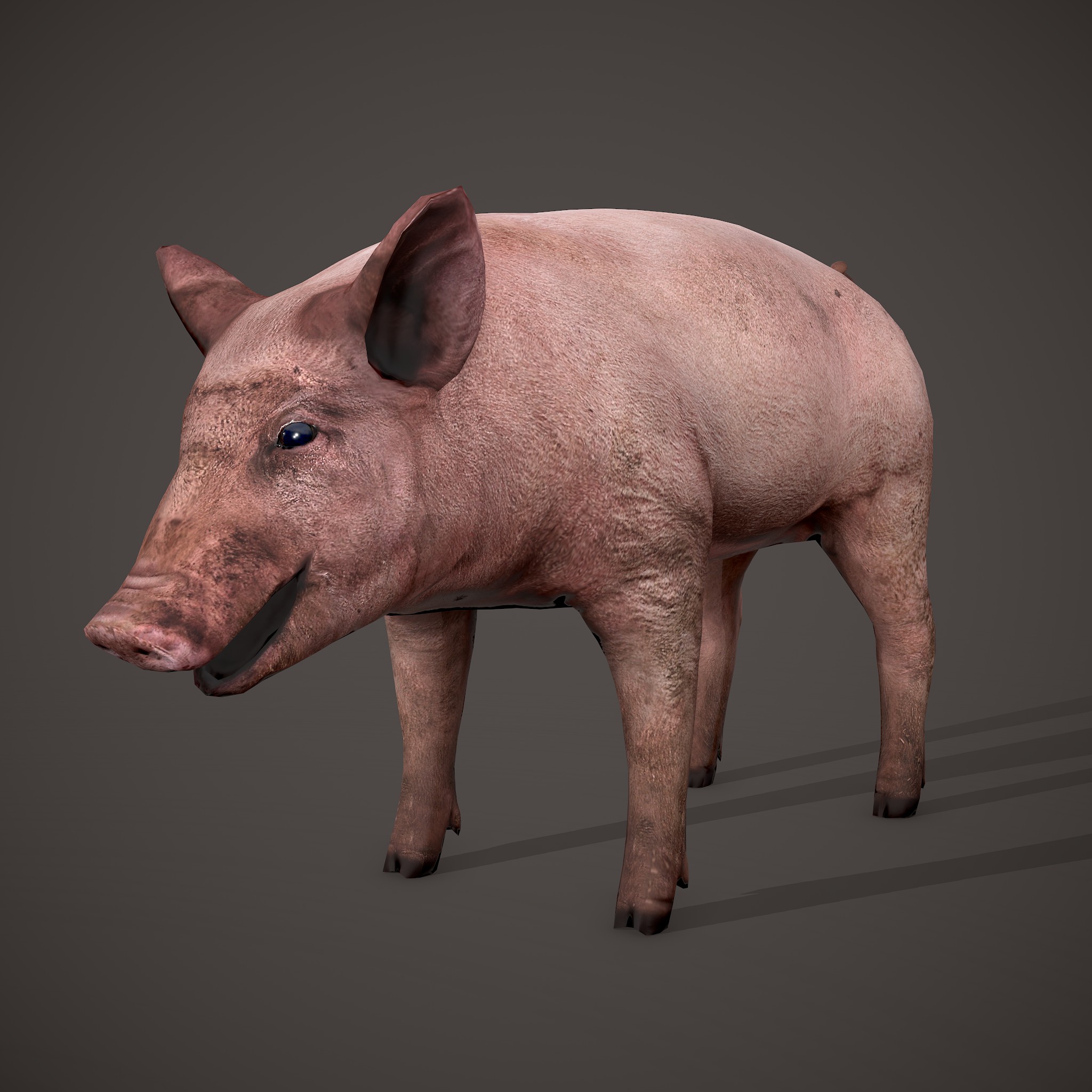 Dirty Pig Animal - 3D Model by Get Dead Entertainment