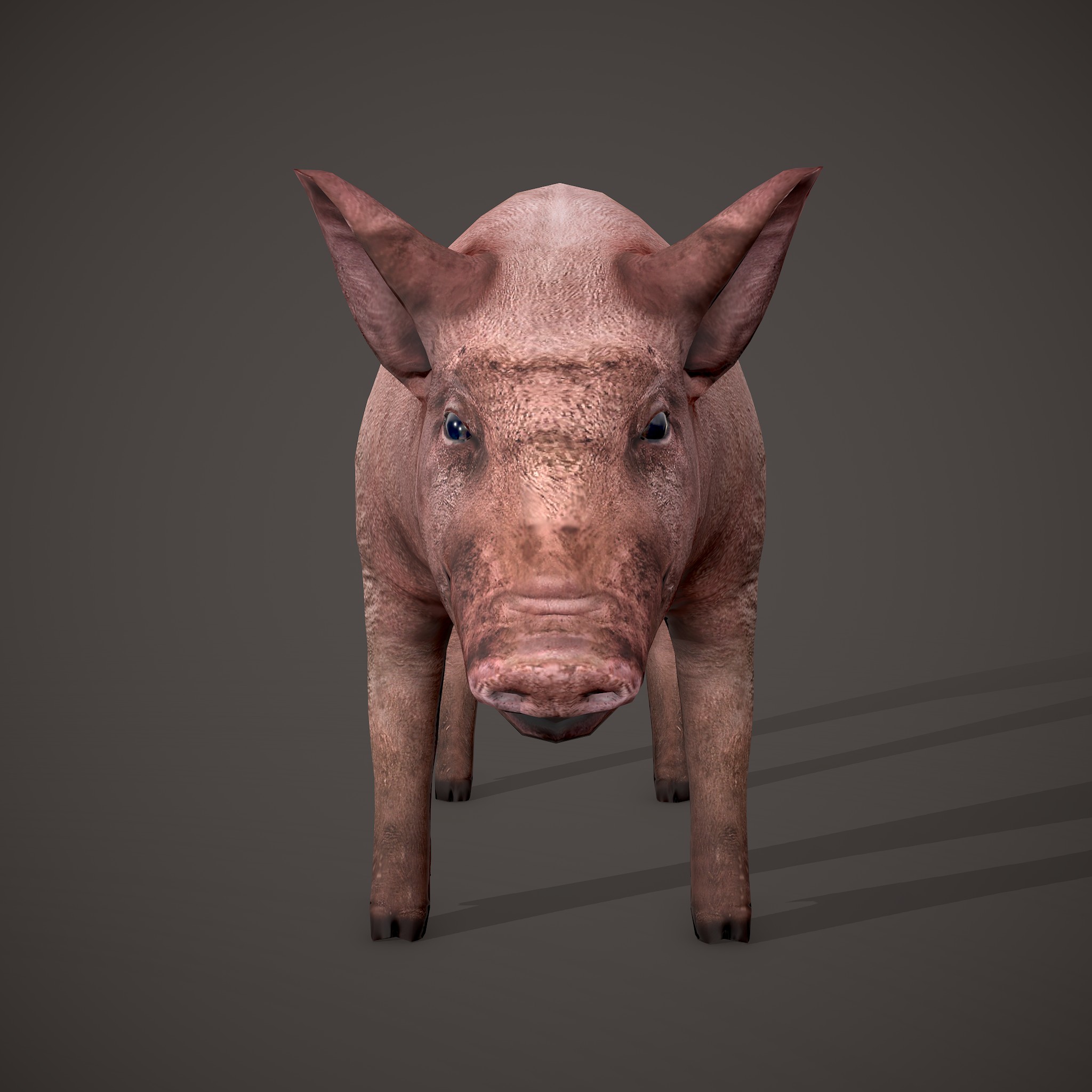 Dirty Pig Animal - 3D Model by Get Dead Entertainment