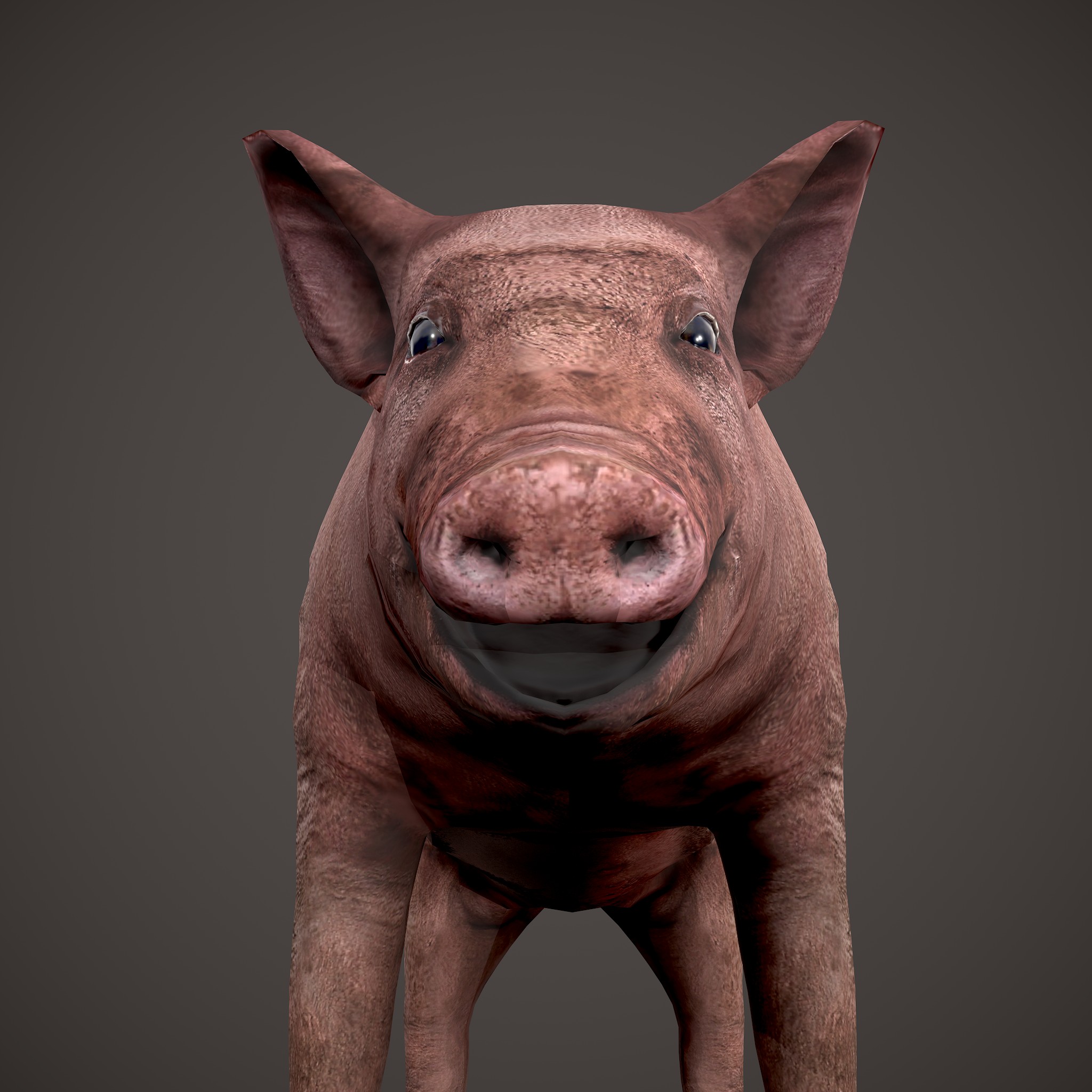 Dirty Pig Animal - 3D Model by Get Dead Entertainment