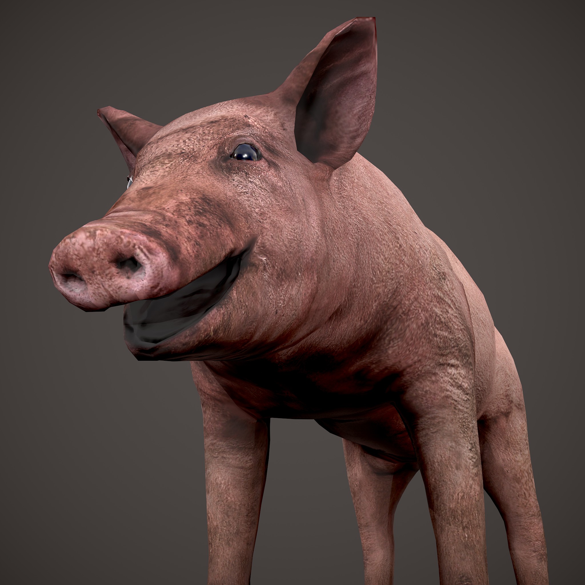 Dirty Pig Animal - 3D Model by Get Dead Entertainment