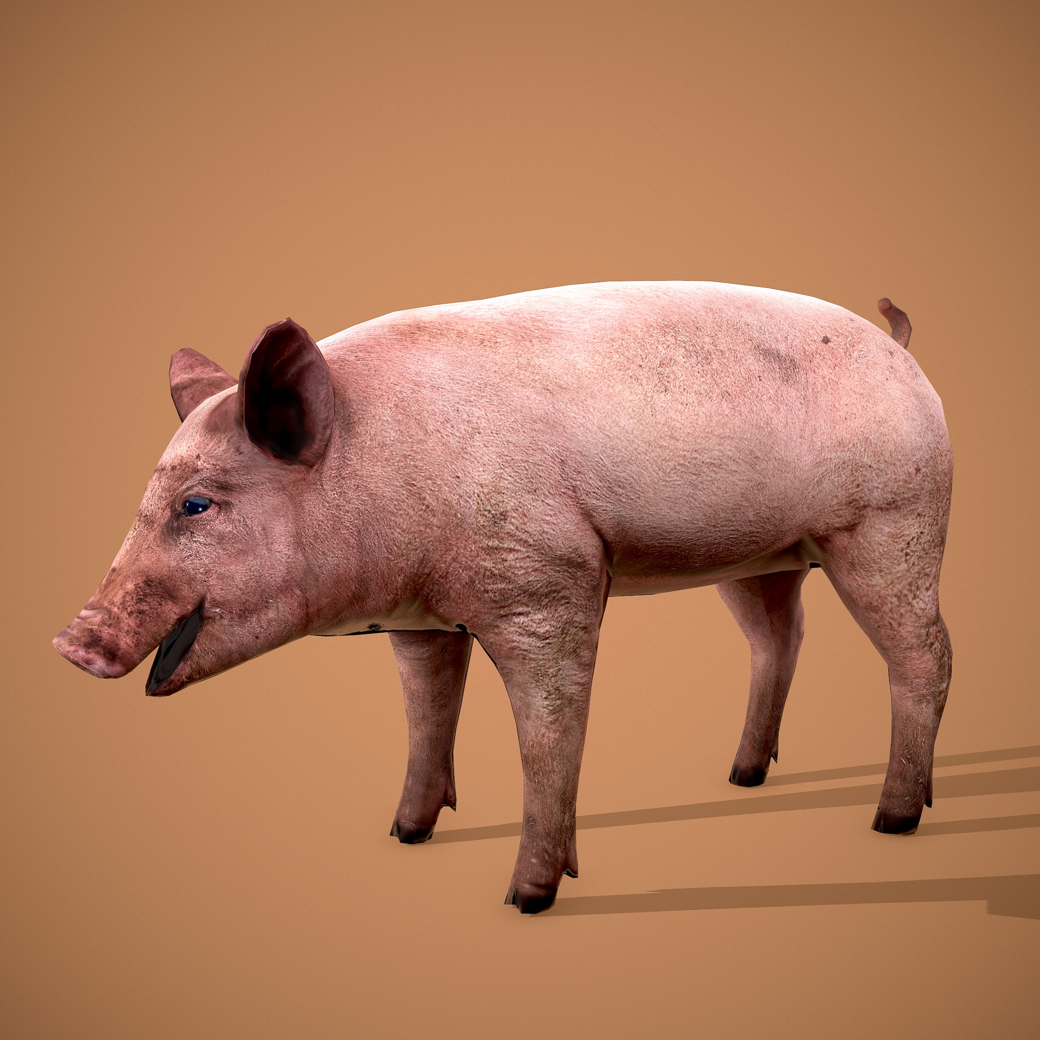 Dirty Pig Animal - 3D Model by Get Dead Entertainment