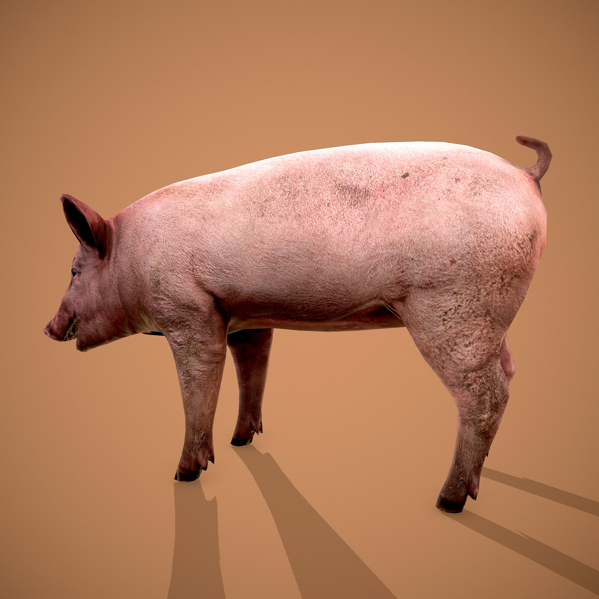 Dirty Pig Animal - 3D Model by Get Dead Entertainment