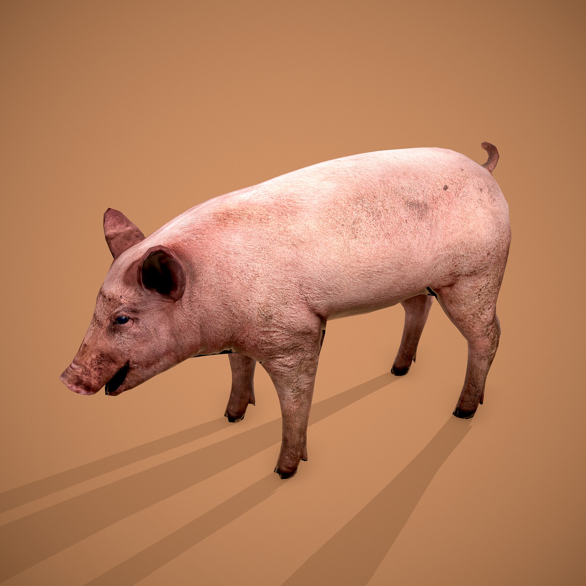 Dirty Pig Animal - 3D Model by Get Dead Entertainment