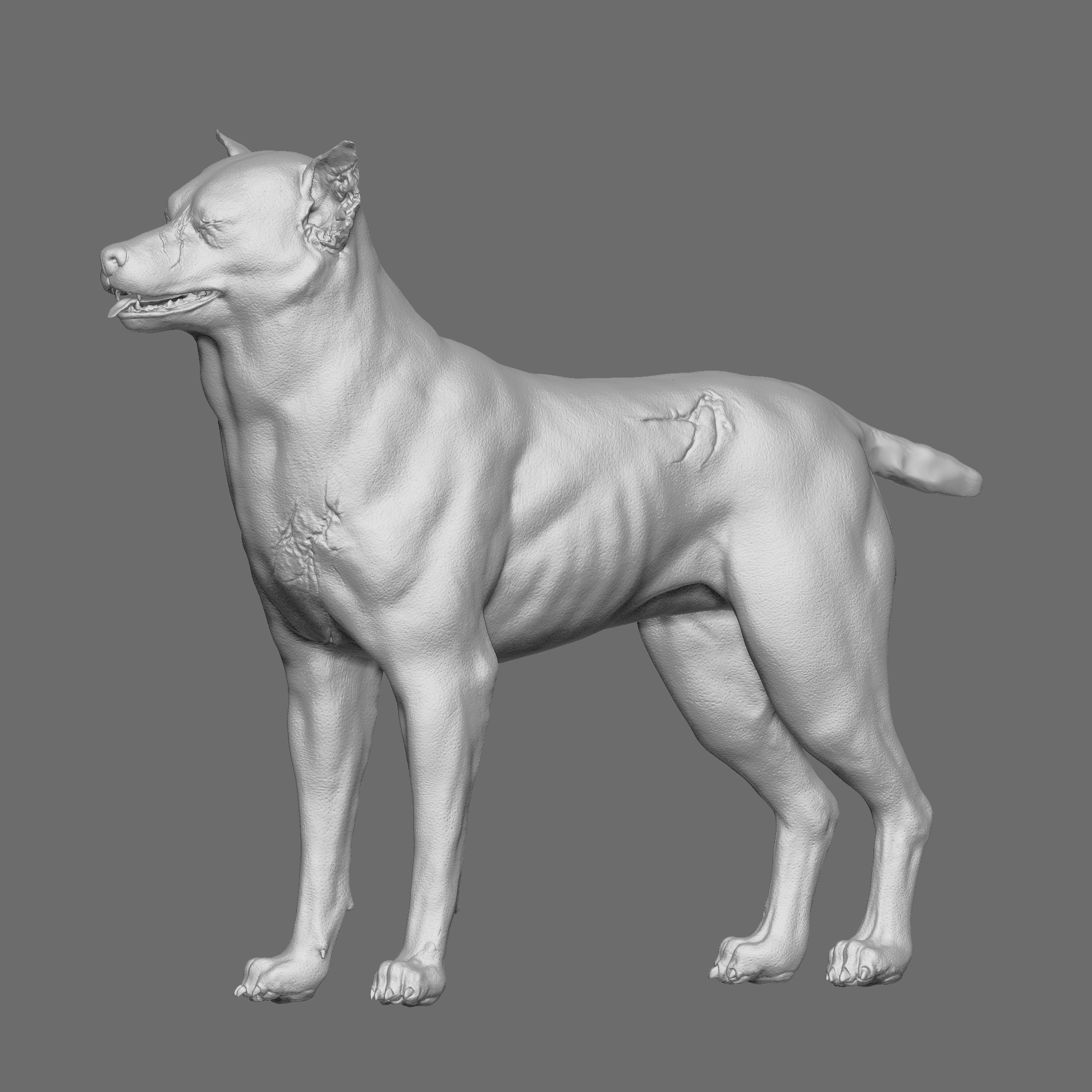 Dog - 3D Model by Get Dead Entertainment