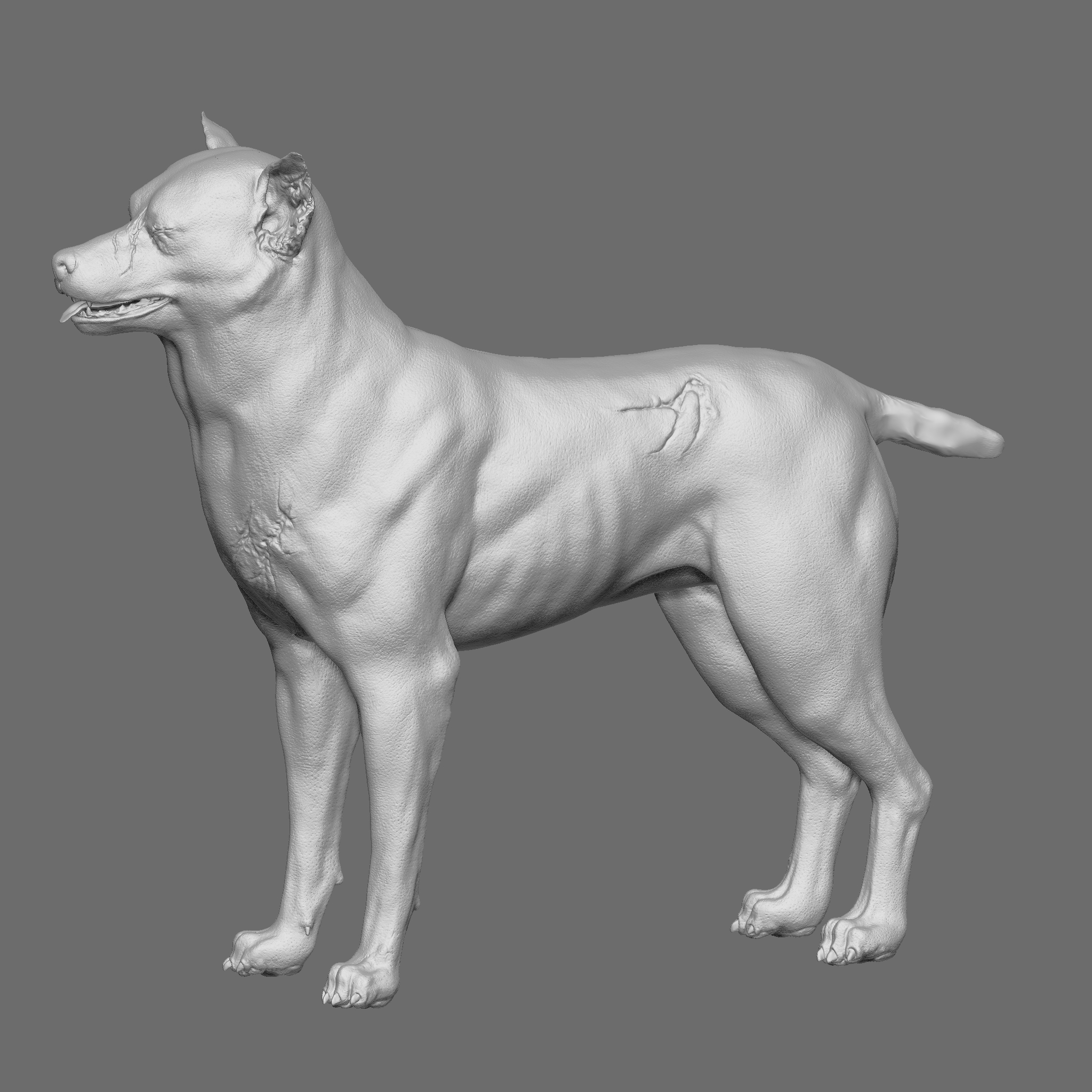 Dog - 3D Print Model by Get Dead Entertainment