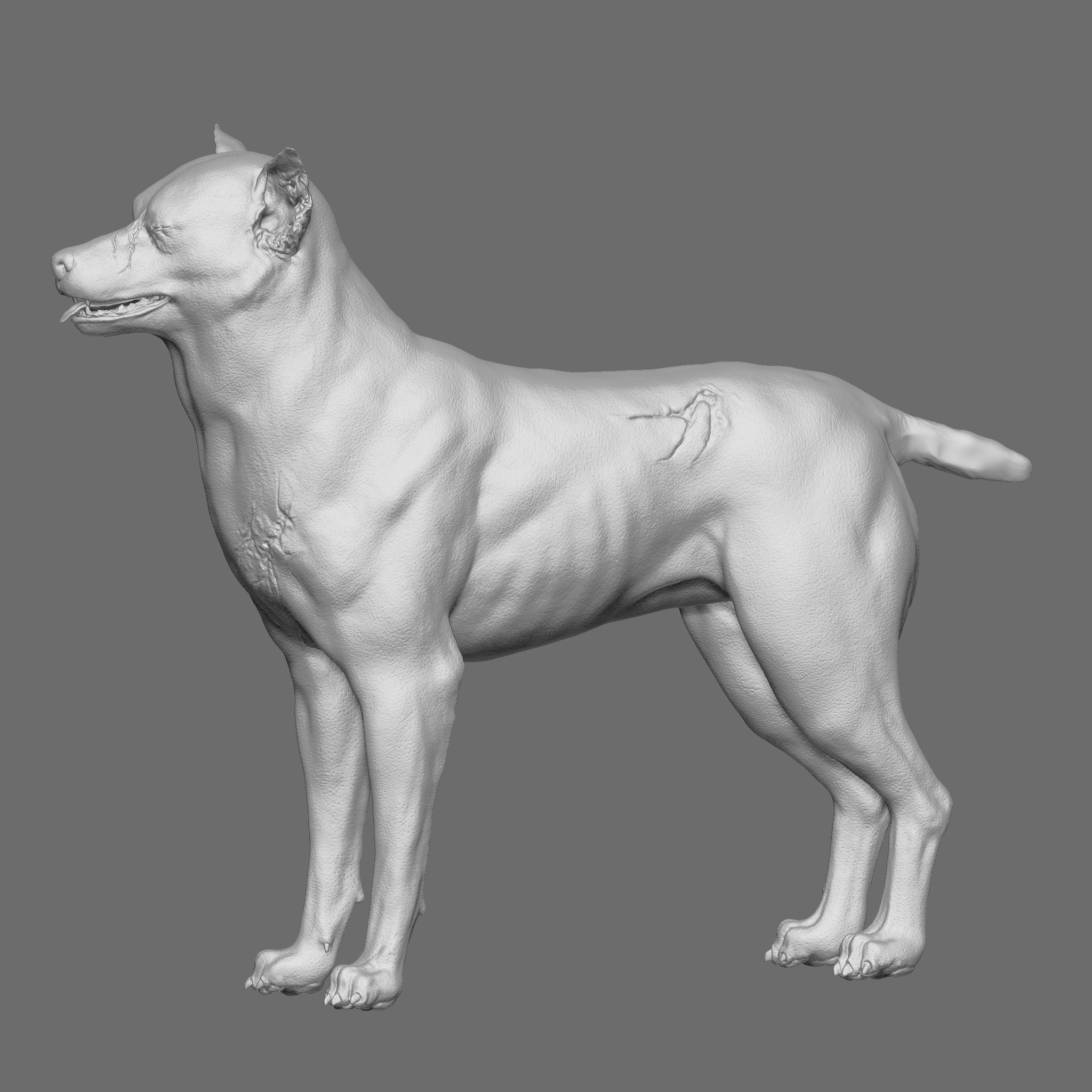 Dog - 3D Model by Get Dead Entertainment