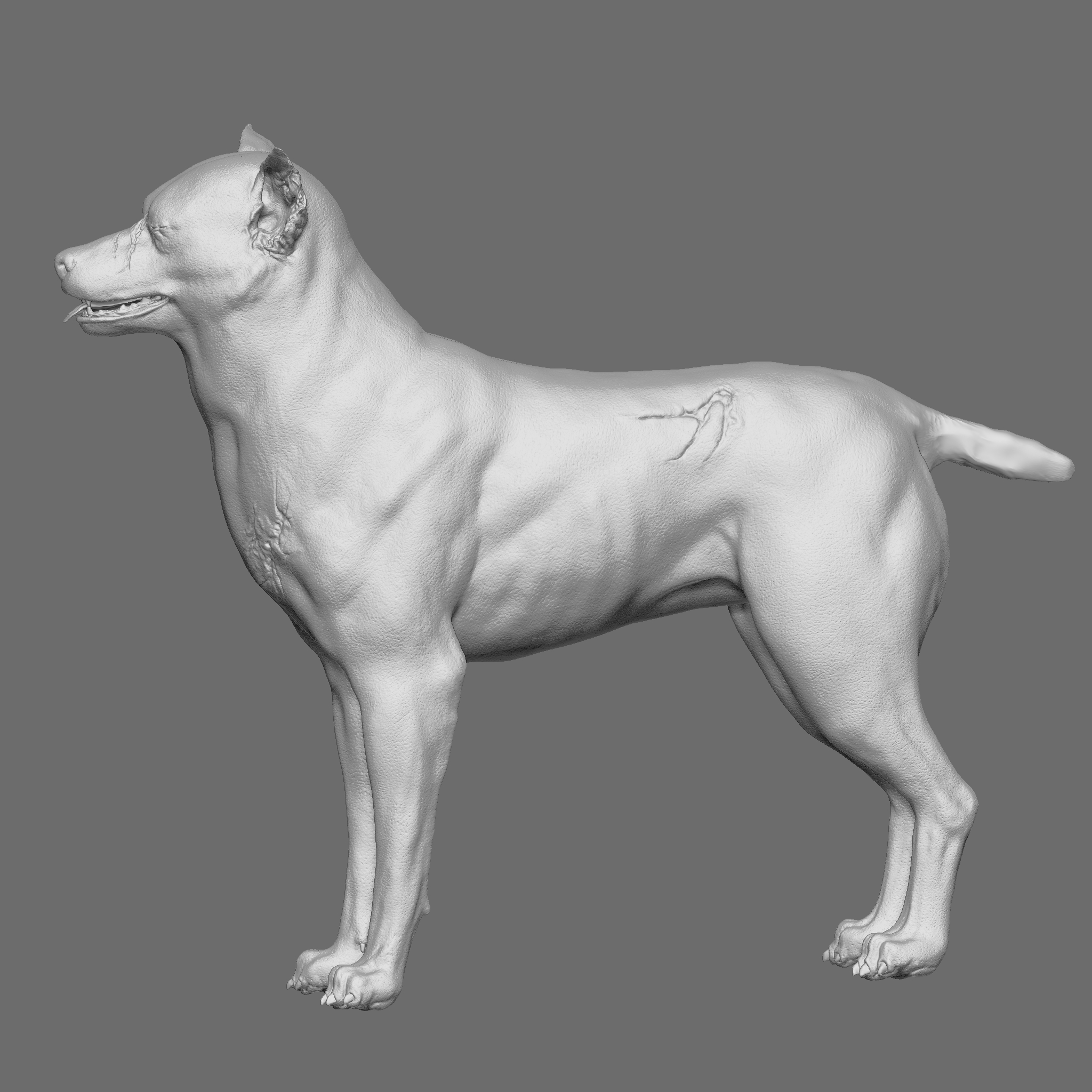 Dog - 3D Model by Get Dead Entertainment