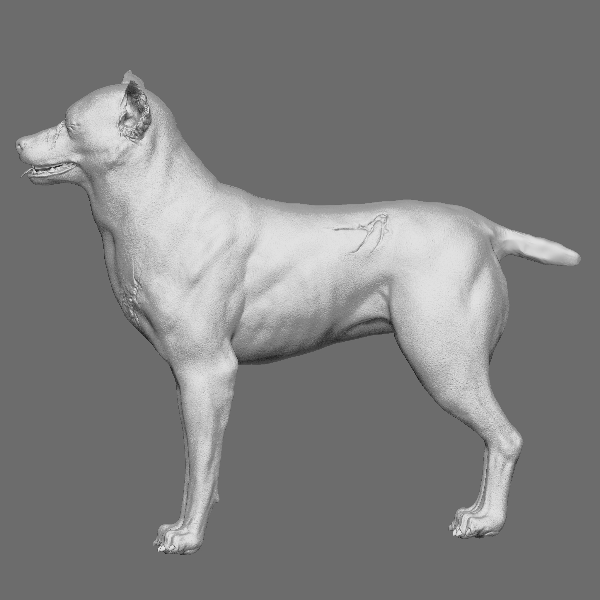 Dog - 3D Model by Get Dead Entertainment