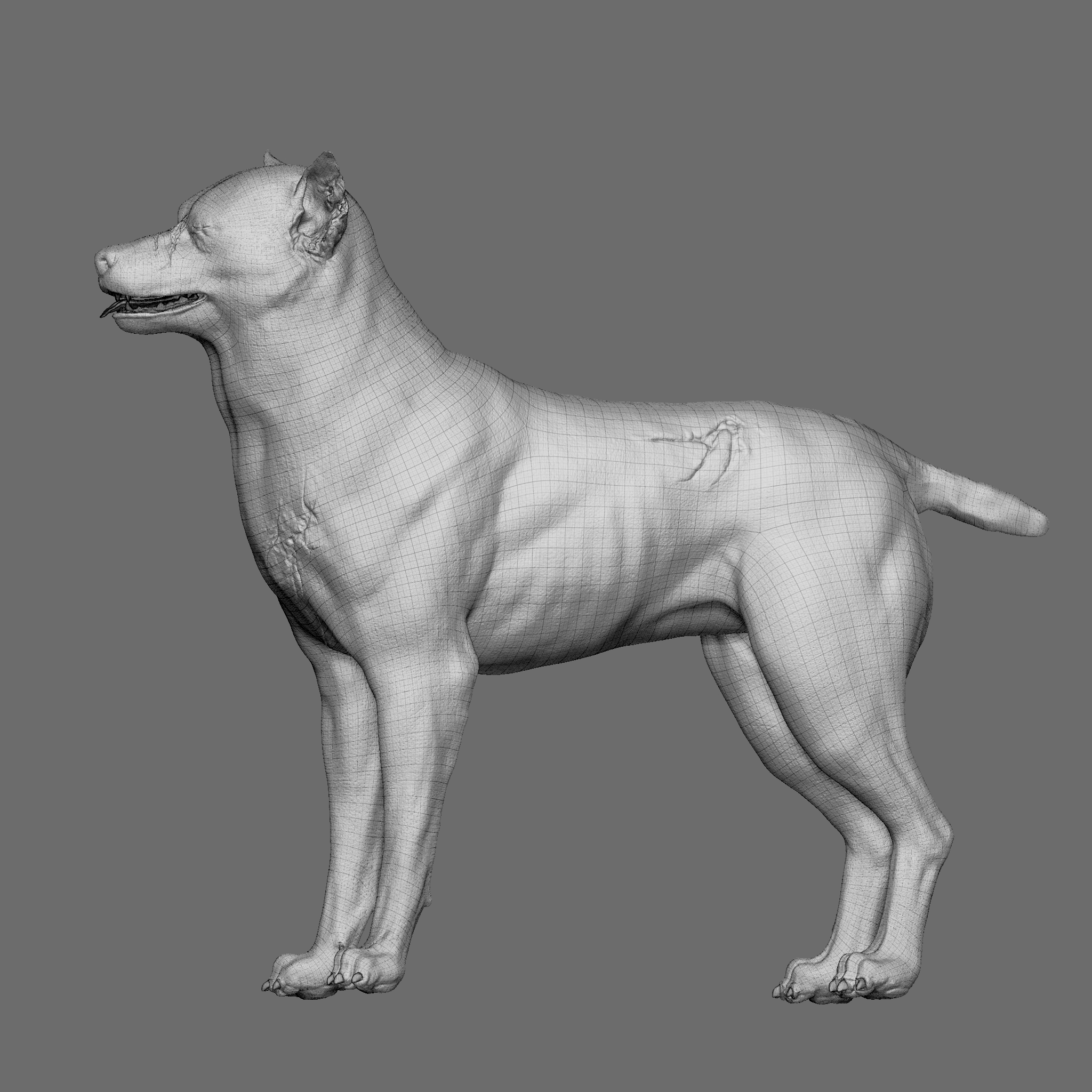 Dog - 3D Print Model by Get Dead Entertainment