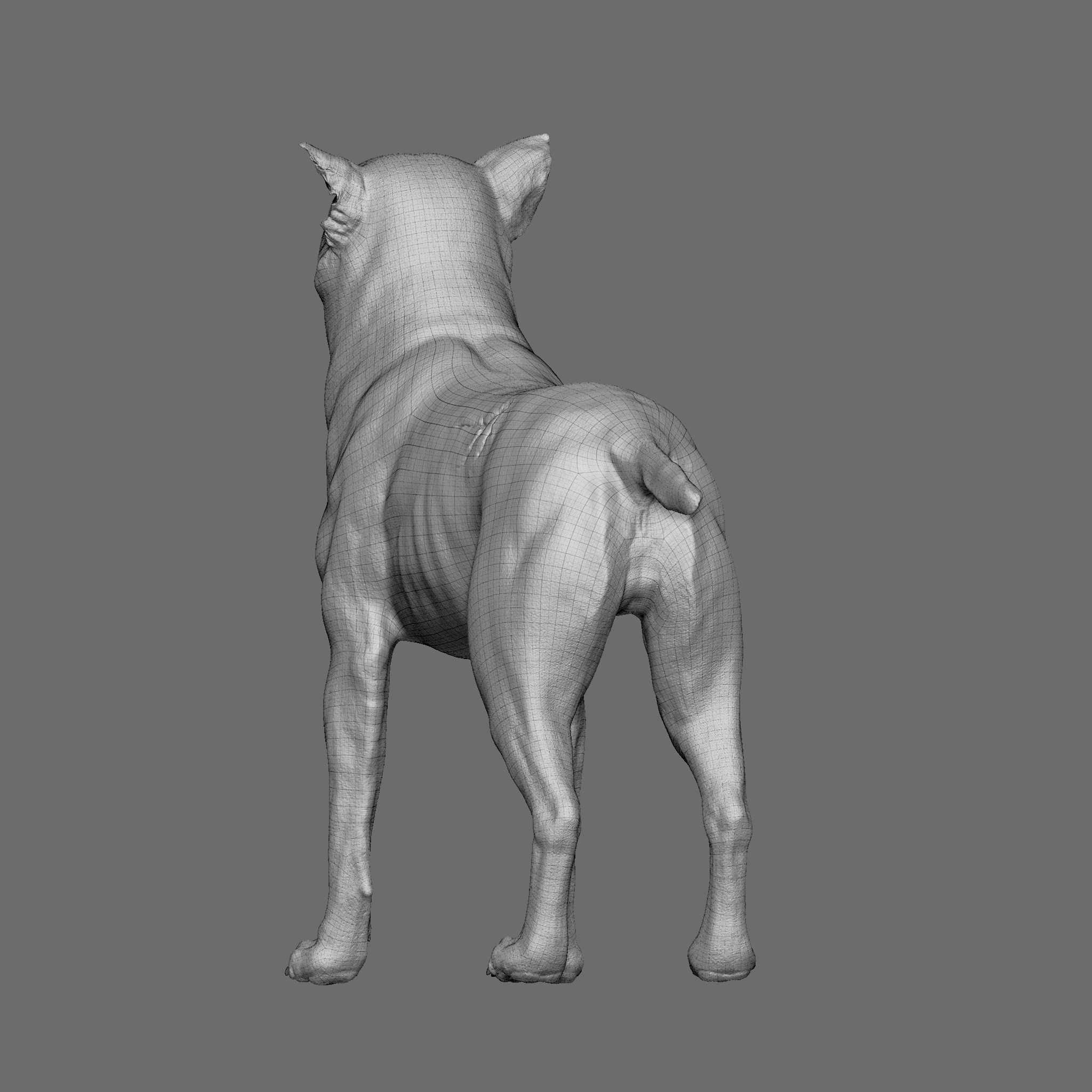 Dog - 3D Model by Get Dead Entertainment