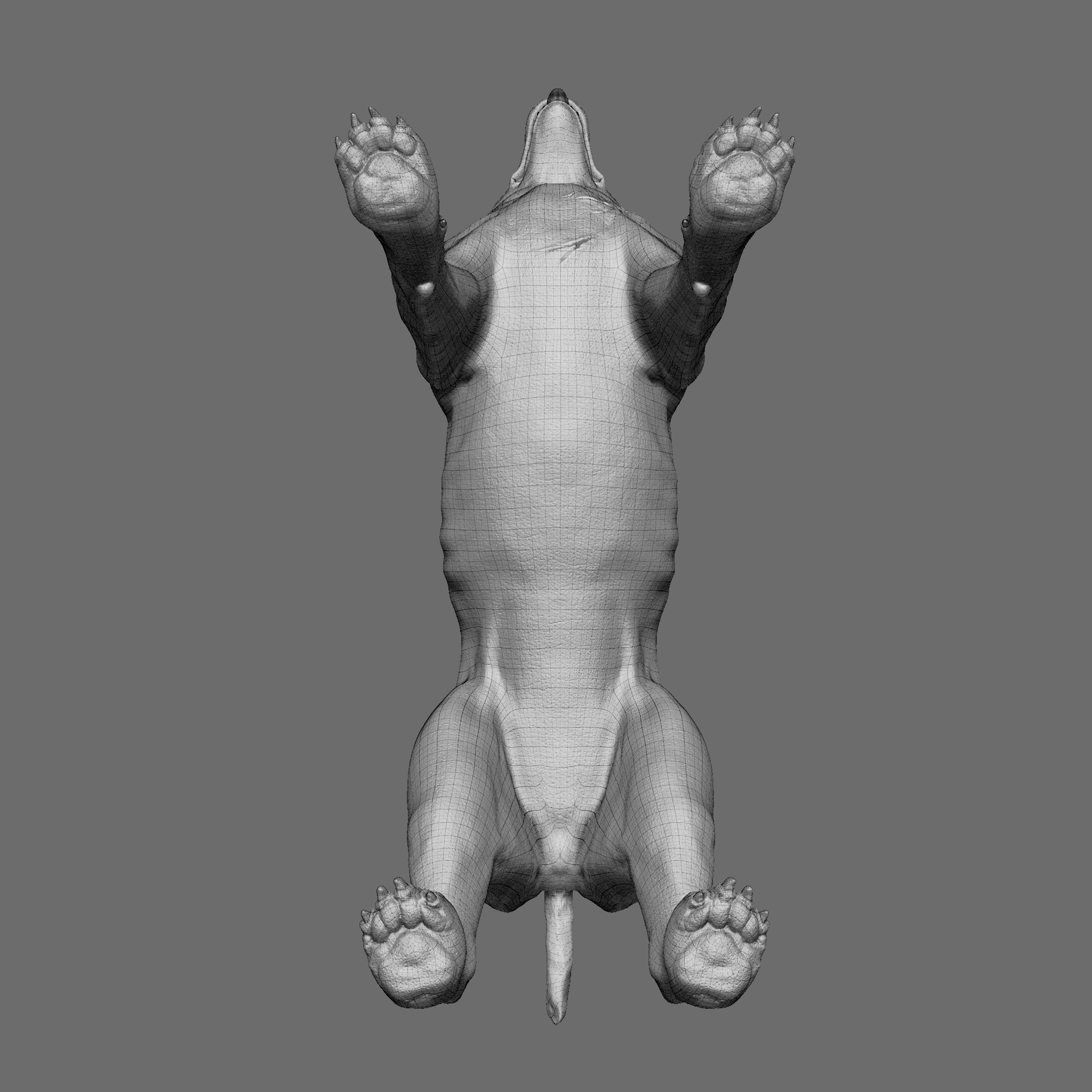 Dog - 3D Model by Get Dead Entertainment