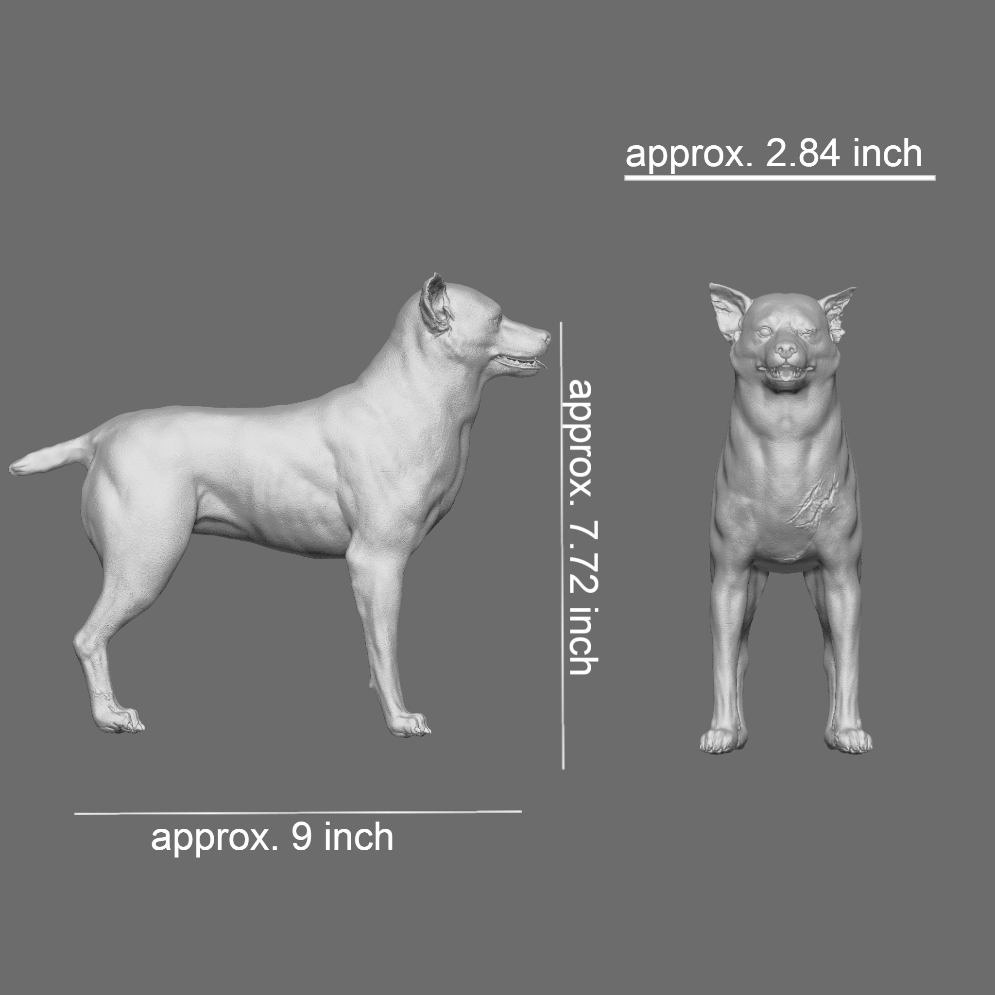 Dog - 3D Model by Get Dead Entertainment