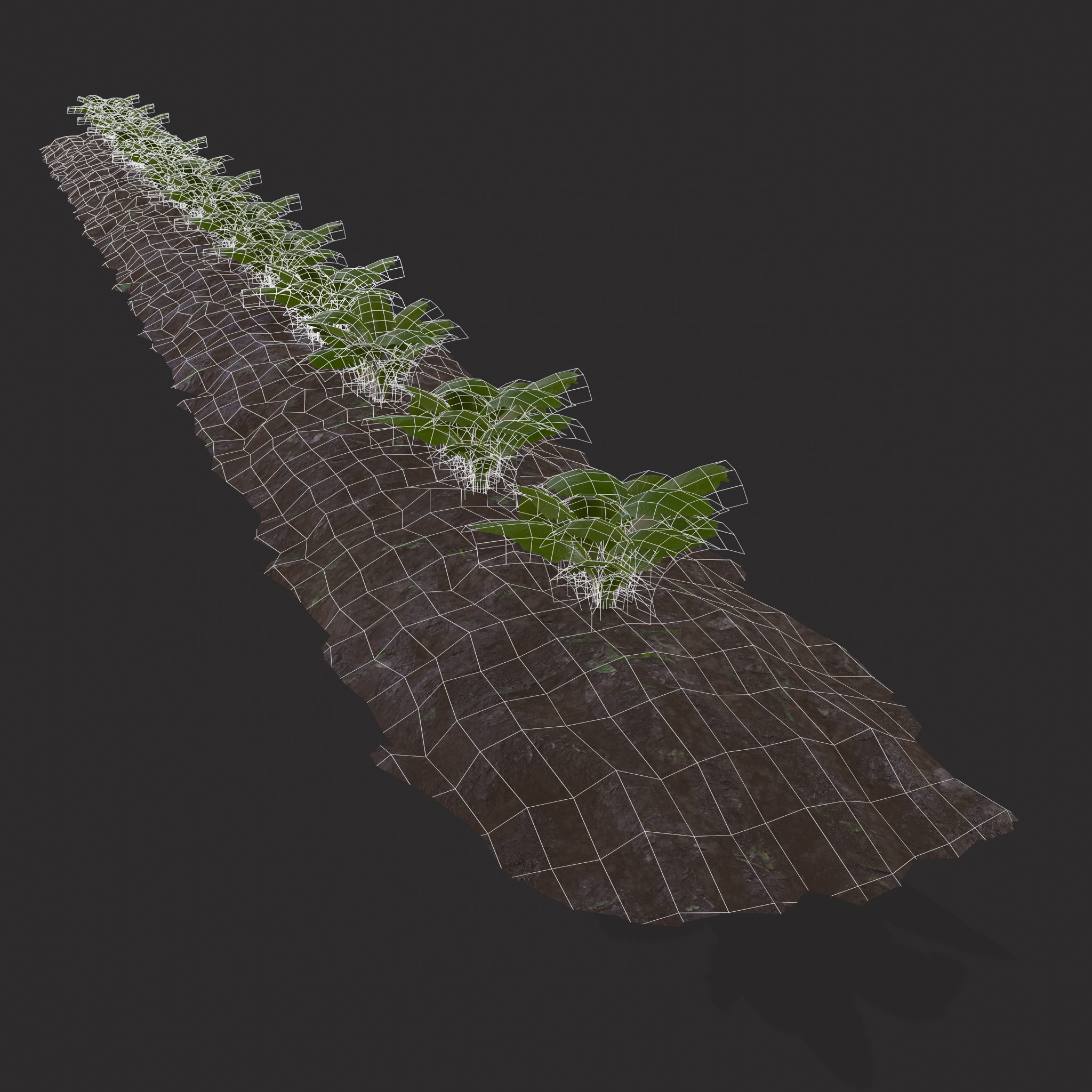 Farmers Crops Lettuce - 3D Model by Get Dead Entertainment