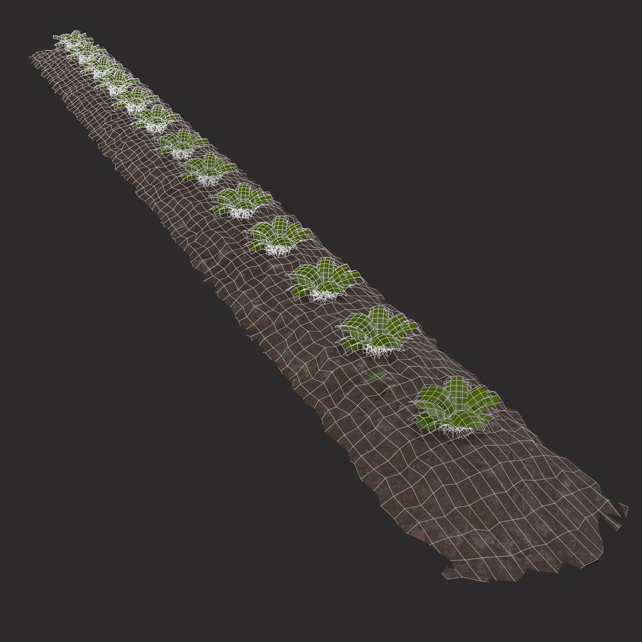 Farmers Crops Lettuce - 3D Model by Get Dead Entertainment