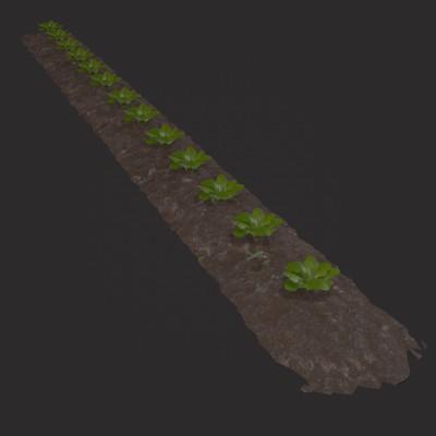 Farmers Crops Lettuce - 3D Model by Get Dead Entertainment