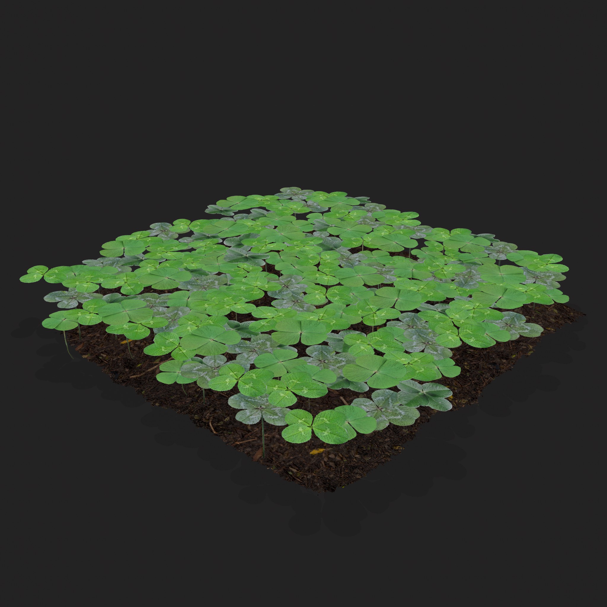 Four Leaf Clover Patch - 3D Model by Get Dead Entertainment