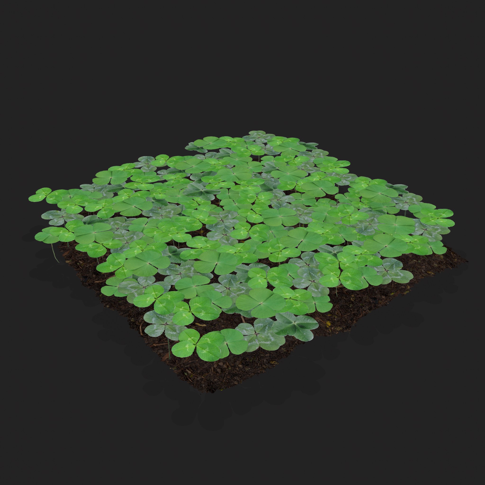 Four Leaf Clover Patch - 3D Model by Get Dead Entertainment