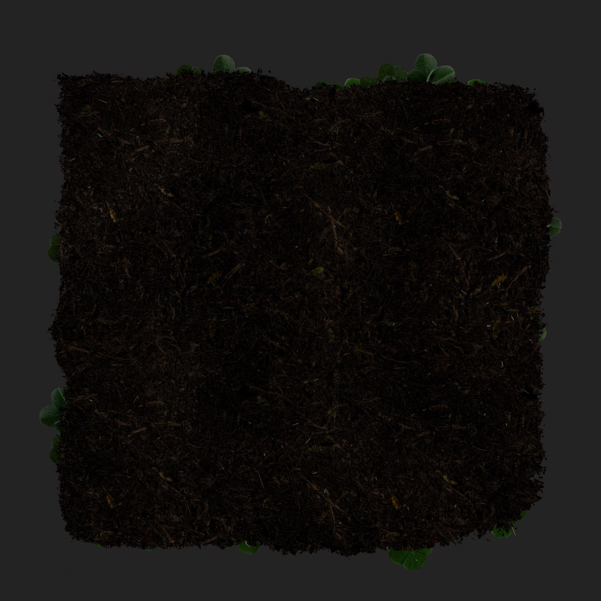 Four Leaf Clover Patch - 3D Model by Get Dead Entertainment