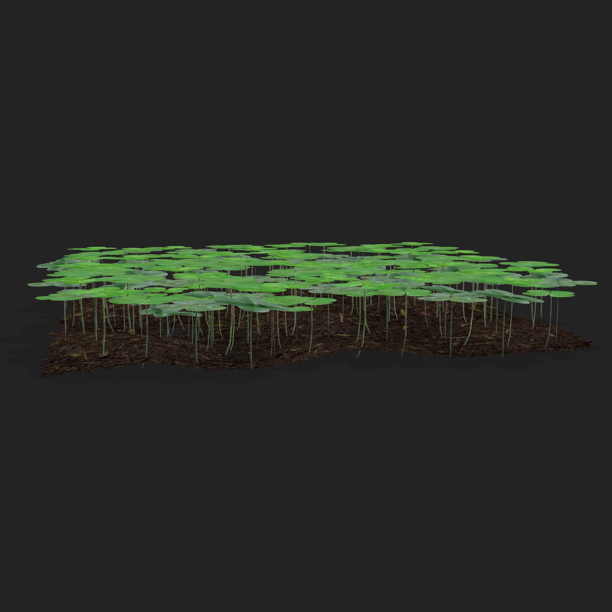 Four Leaf Clover Patch - 3D Model by Get Dead Entertainment