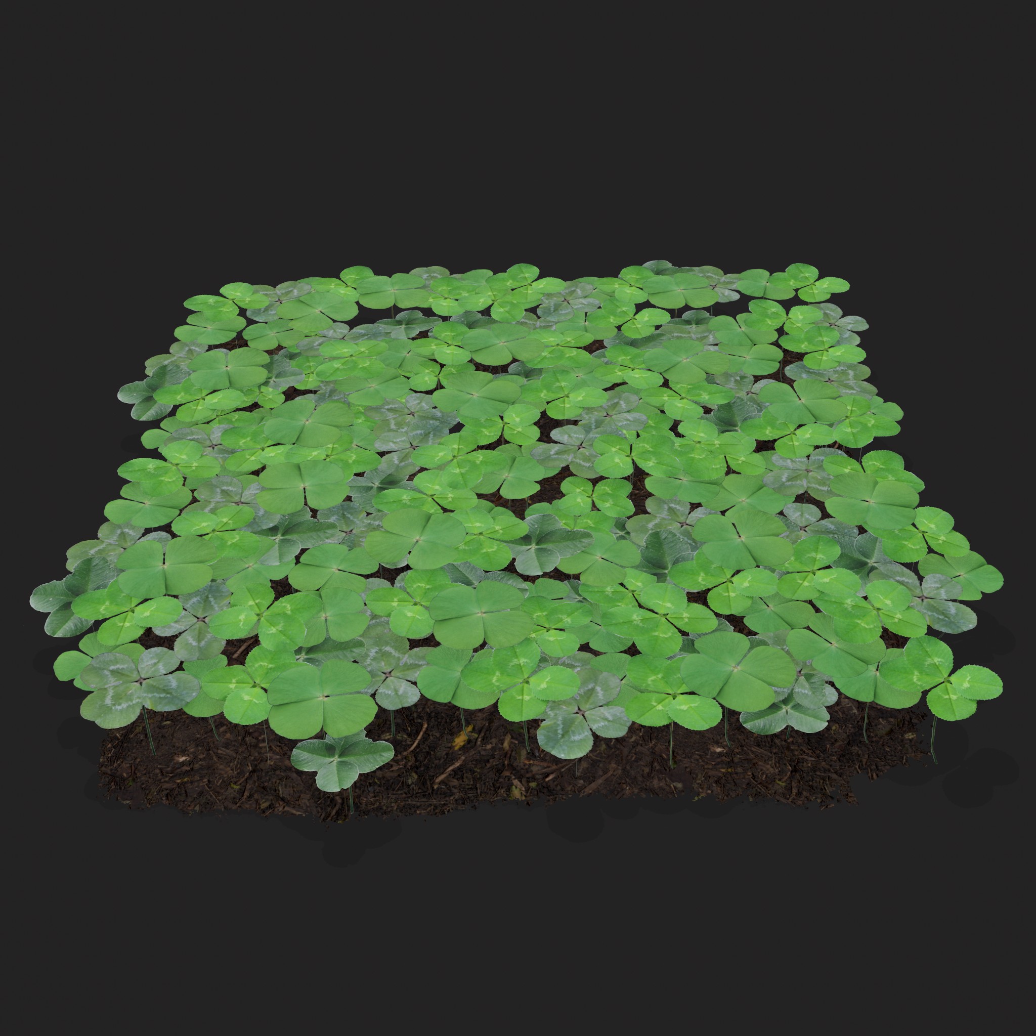 Four Leaf Clover Patch - 3D Model by Get Dead Entertainment