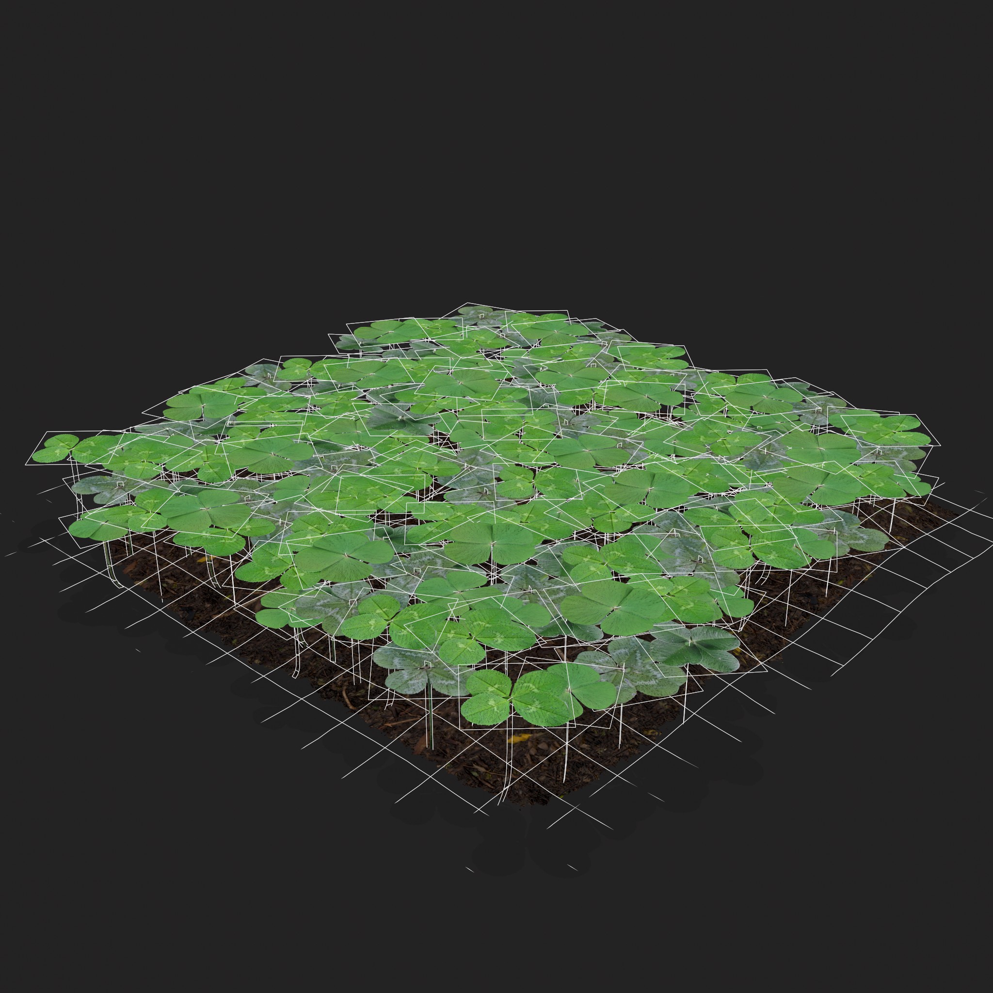 Four Leaf Clover Patch - 3D Model by Get Dead Entertainment