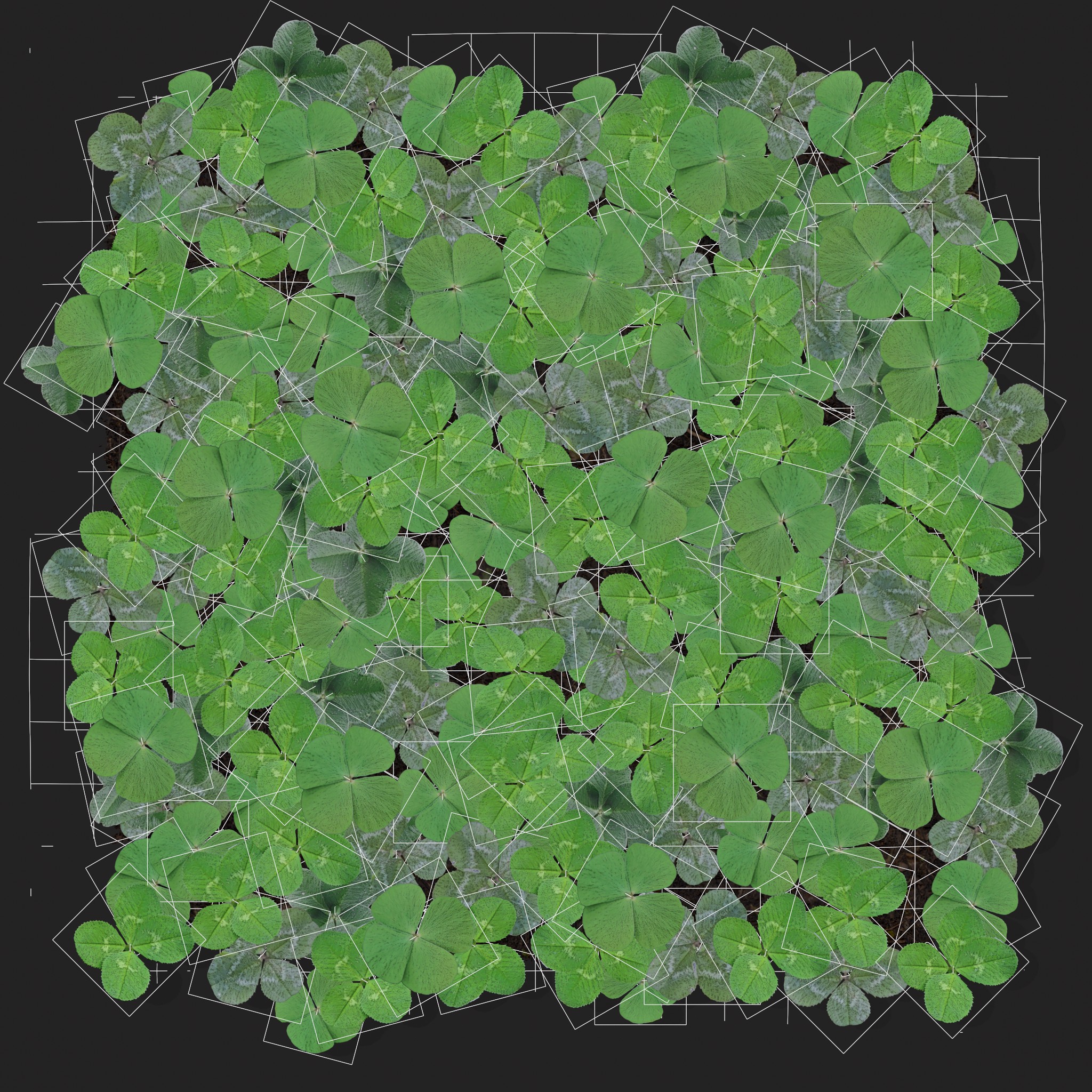 Four Leaf Clover Patch - 3D Model by Get Dead Entertainment
