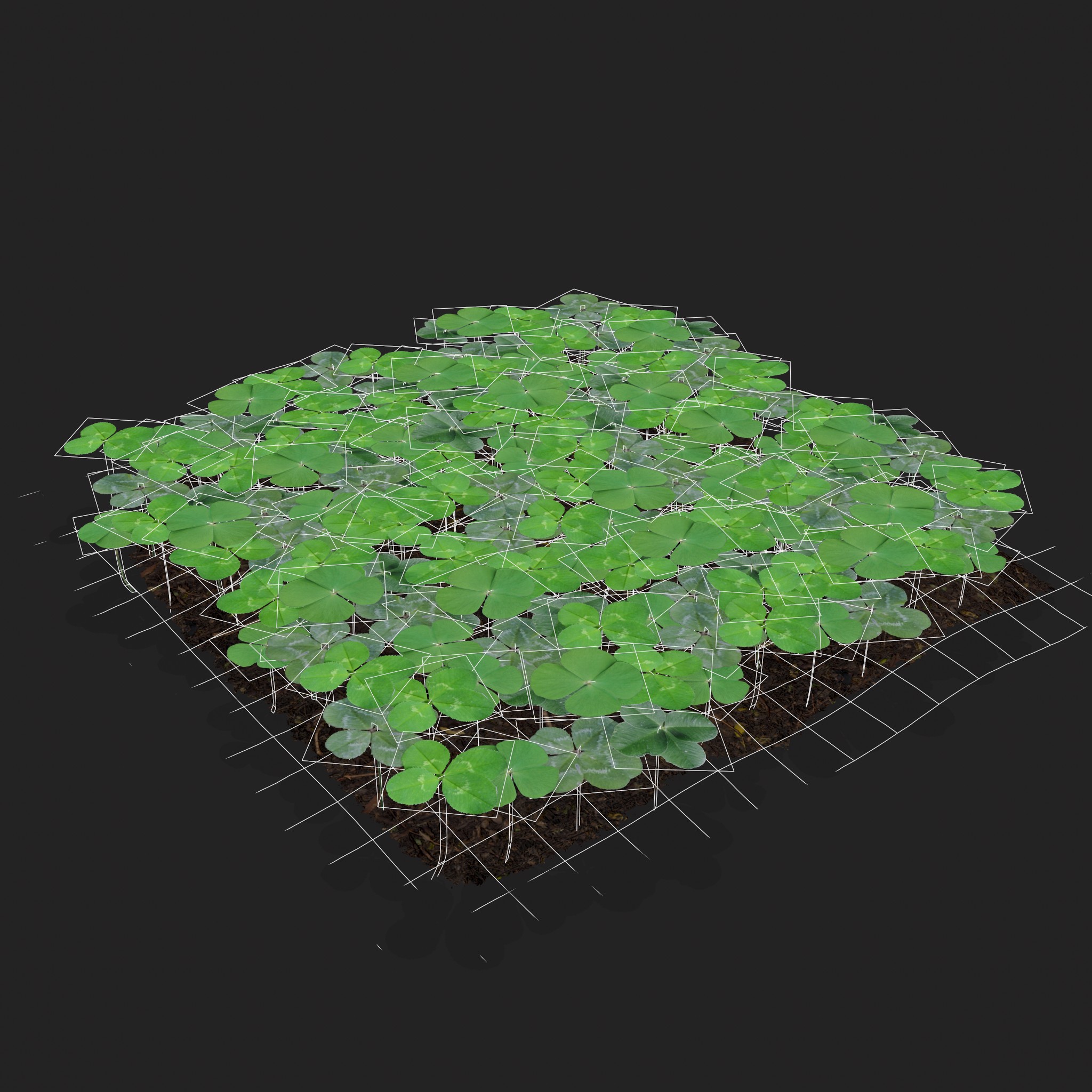 Four Leaf Clover Patch - 3D Model by Get Dead Entertainment