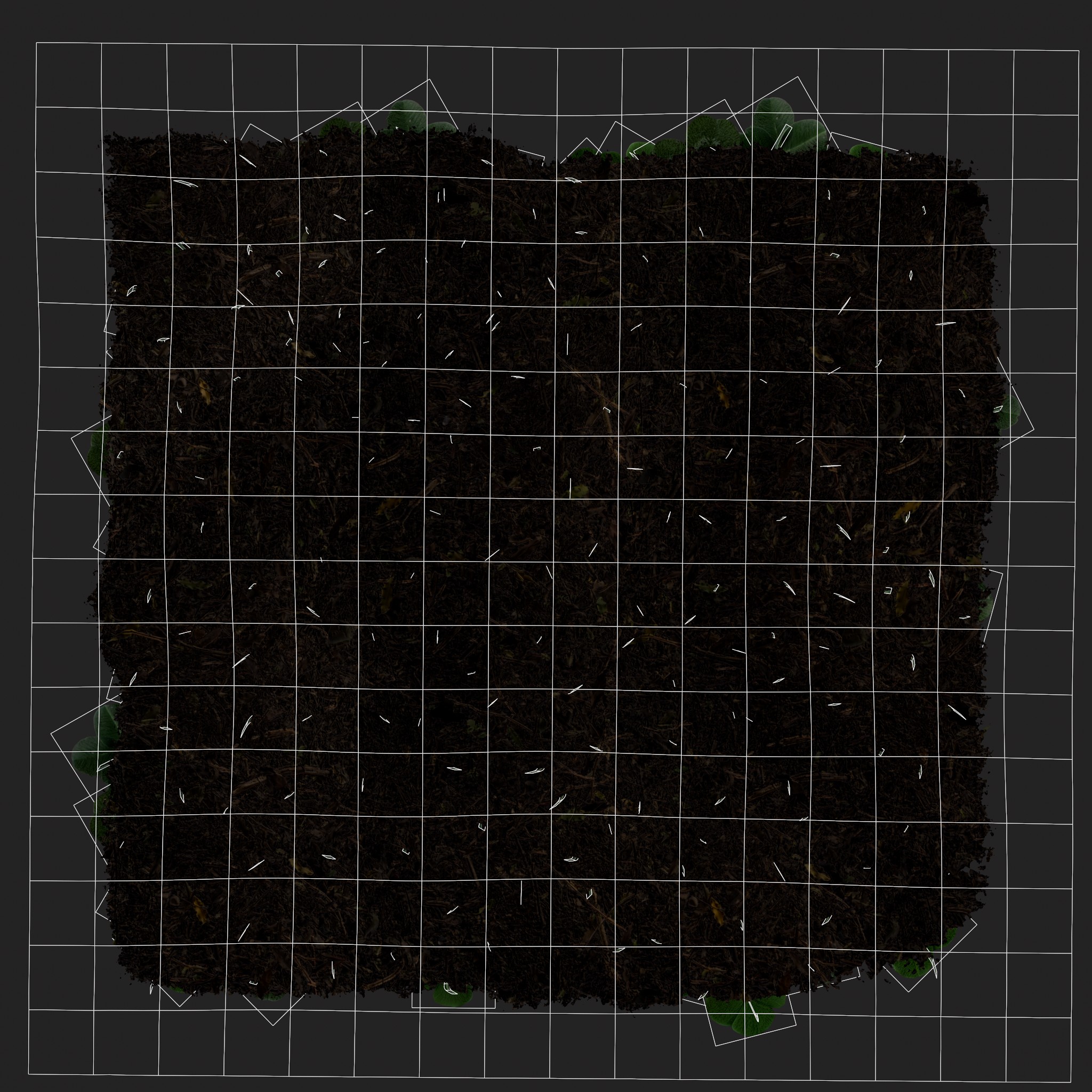 Four Leaf Clover Patch - 3D Model by Get Dead Entertainment