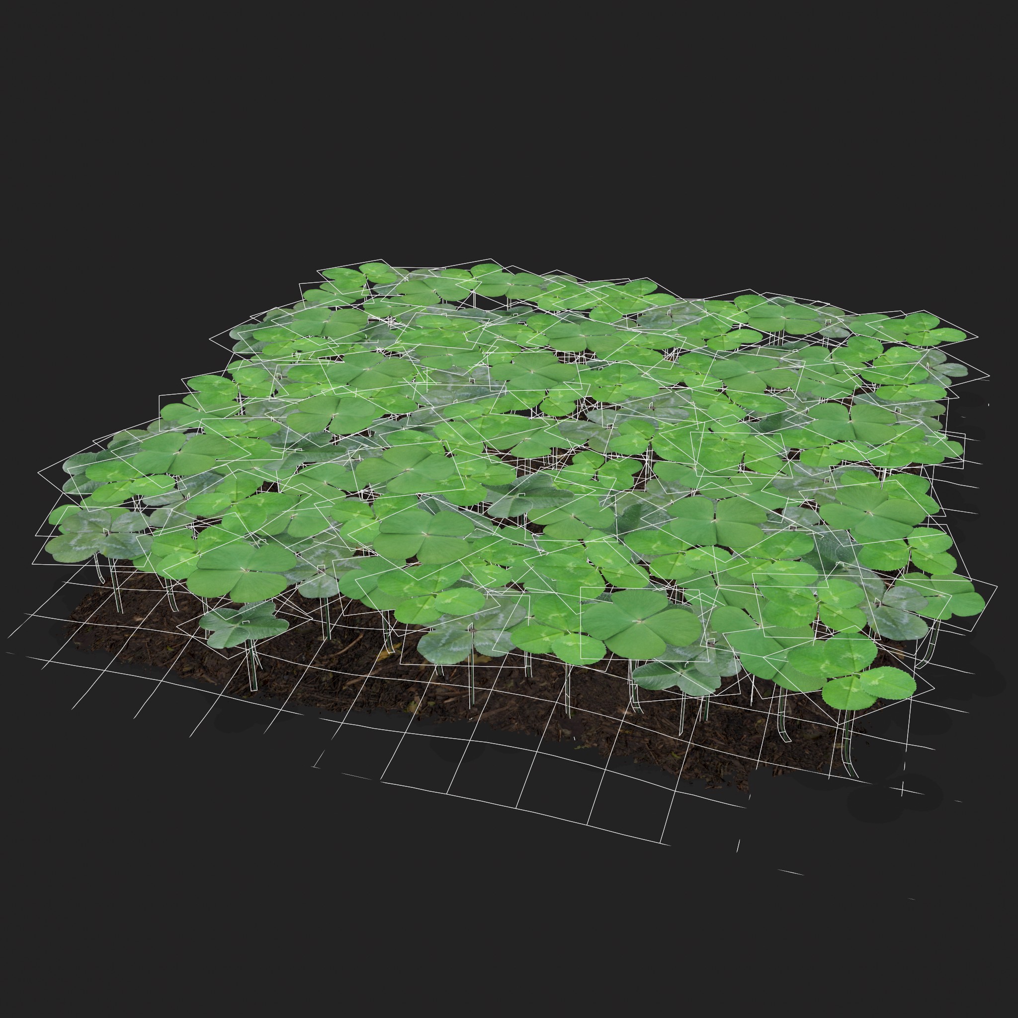 Four Leaf Clover Patch - 3D Model by Get Dead Entertainment