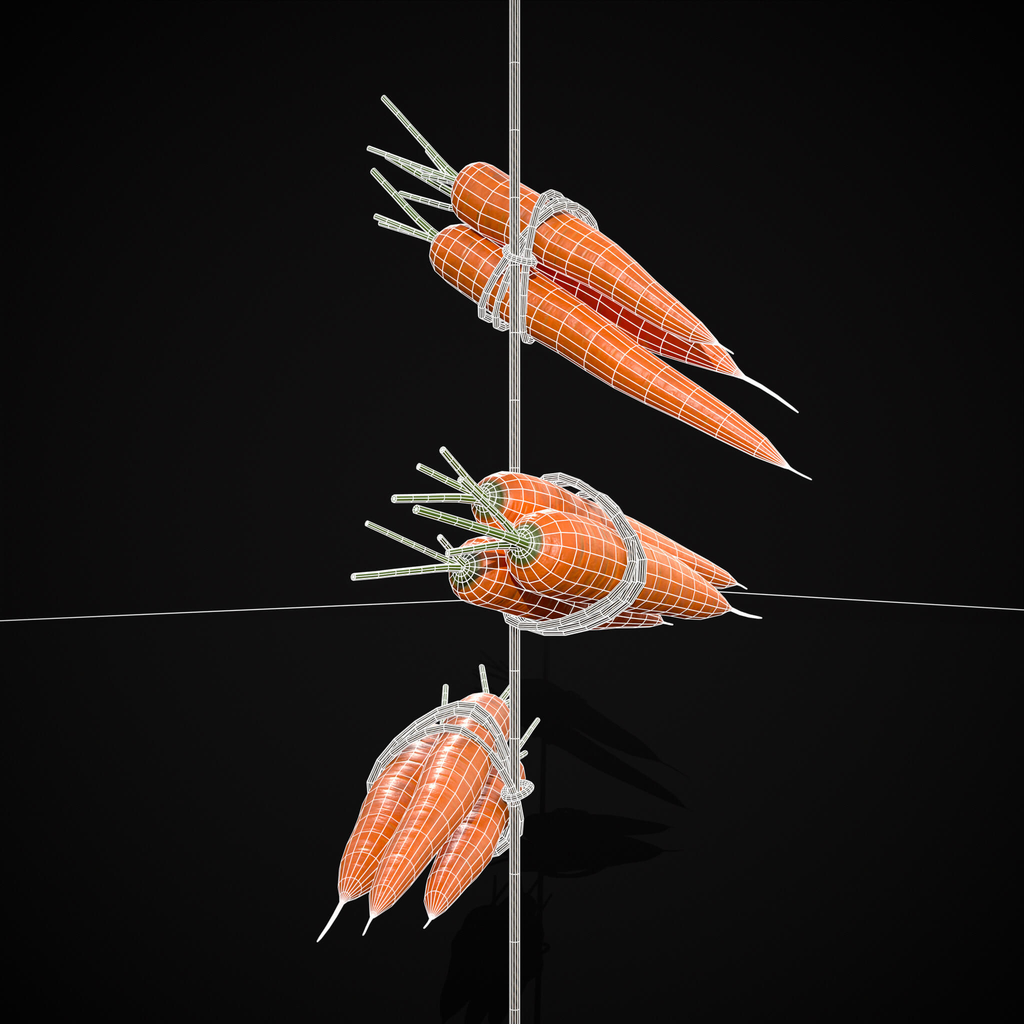 Hanging Carrots - 3D Model by Get Dead Entertainment