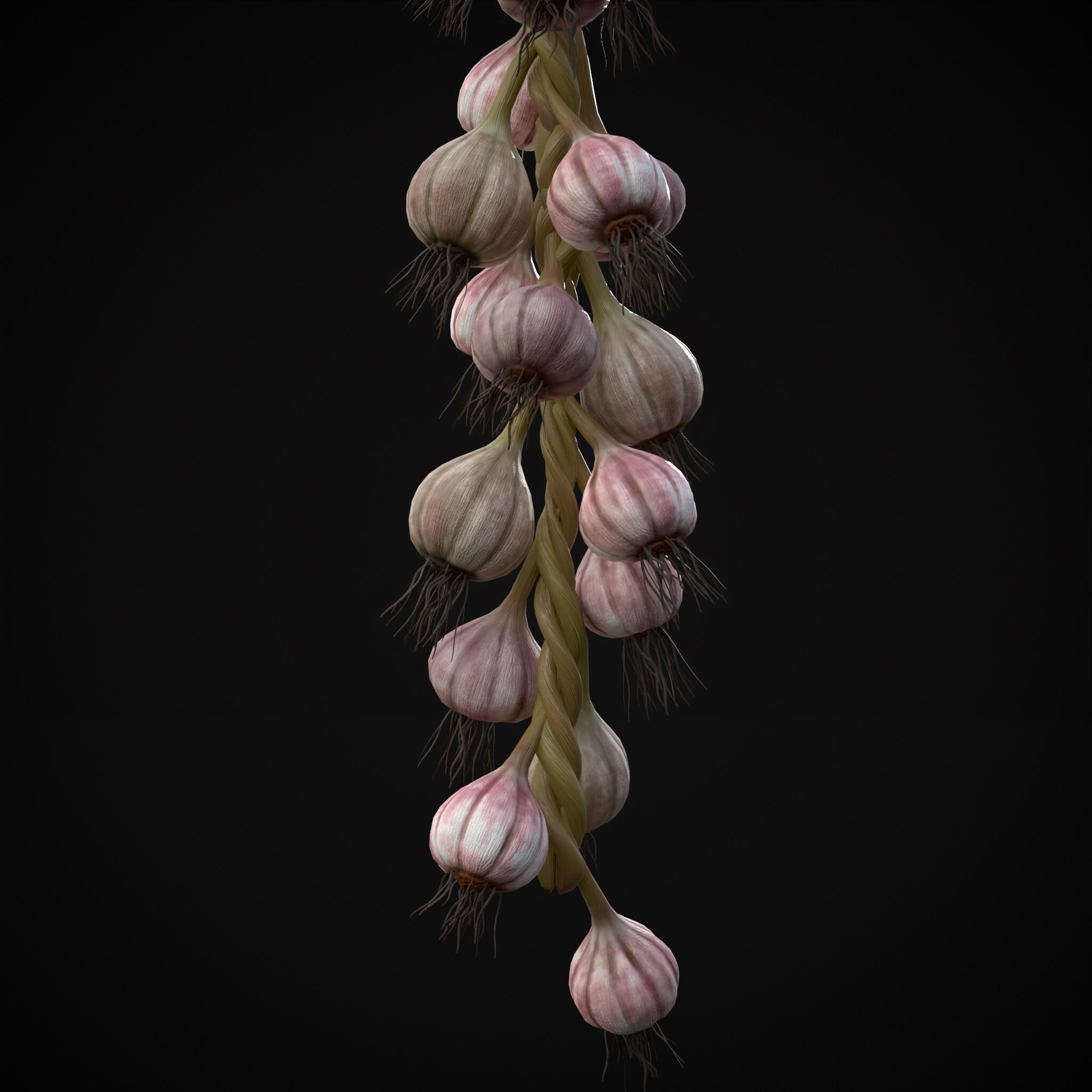 Hanging Garlic - 3D Model by Get Dead Entertainment