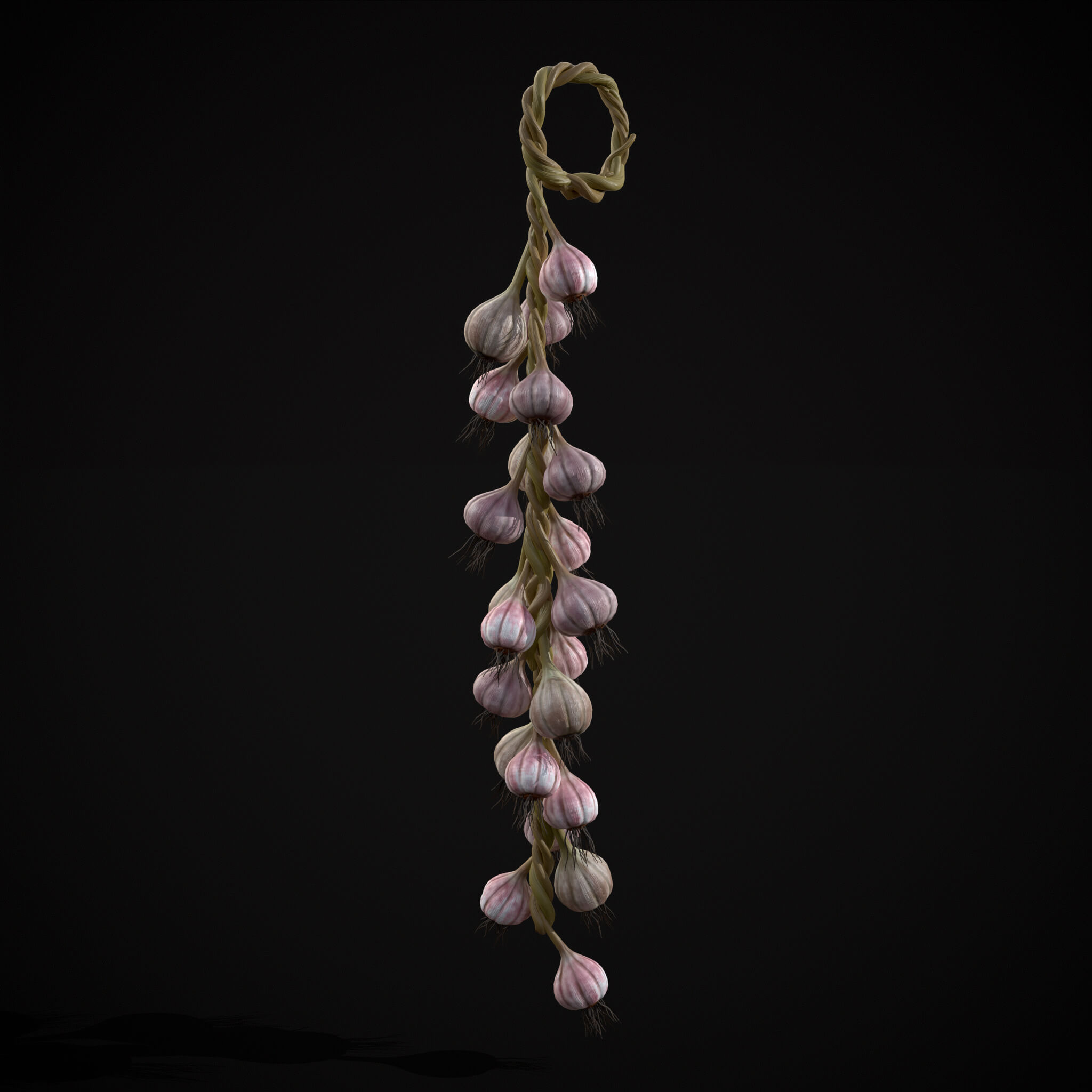 Hanging Garlic - 3D Model by Get Dead Entertainment