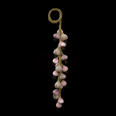 Hanging Garlic - 3D Model by Get Dead Entertainment