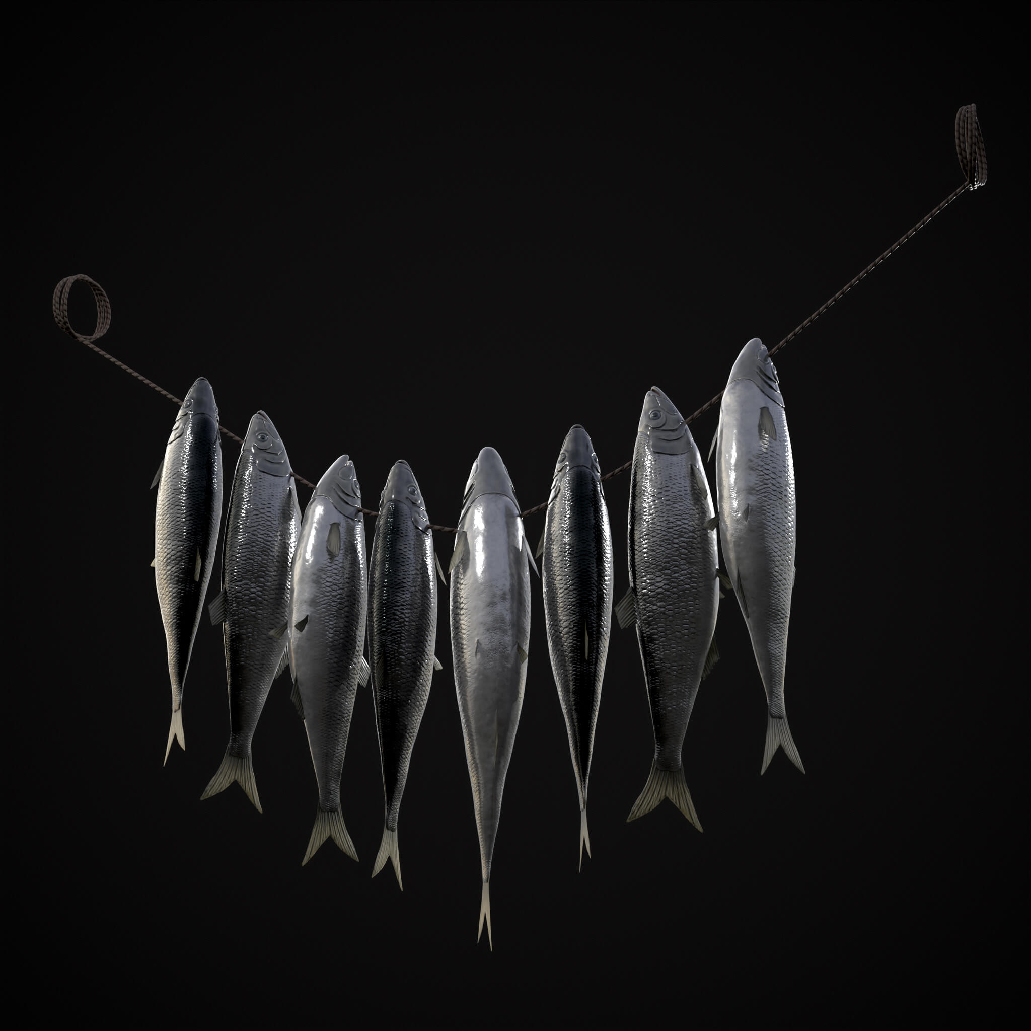 Hanging Herring Fish - 3D Model by Get Dead Entertainment