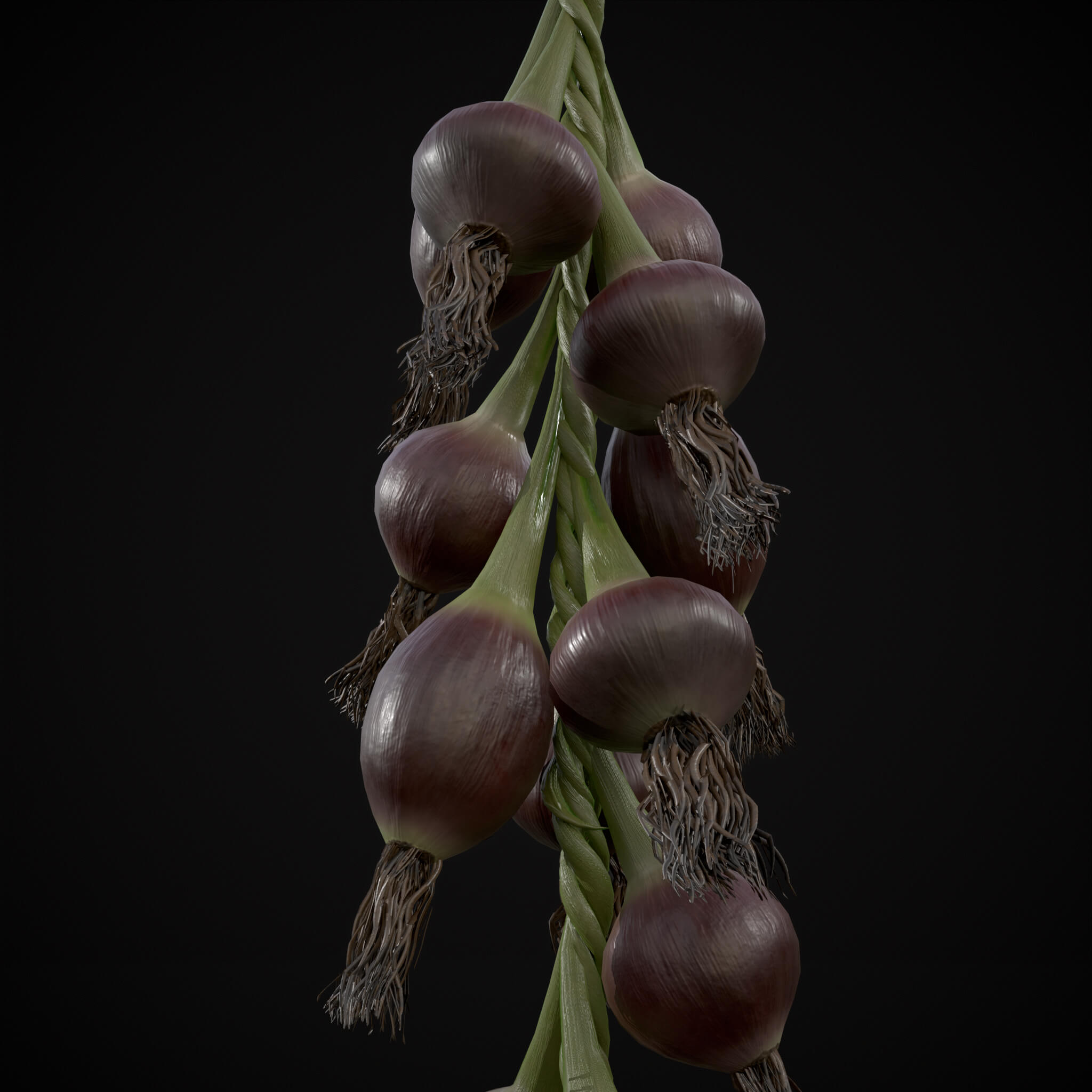 Hanging Red Onions - 3D Model by Get Dead Entertainment
