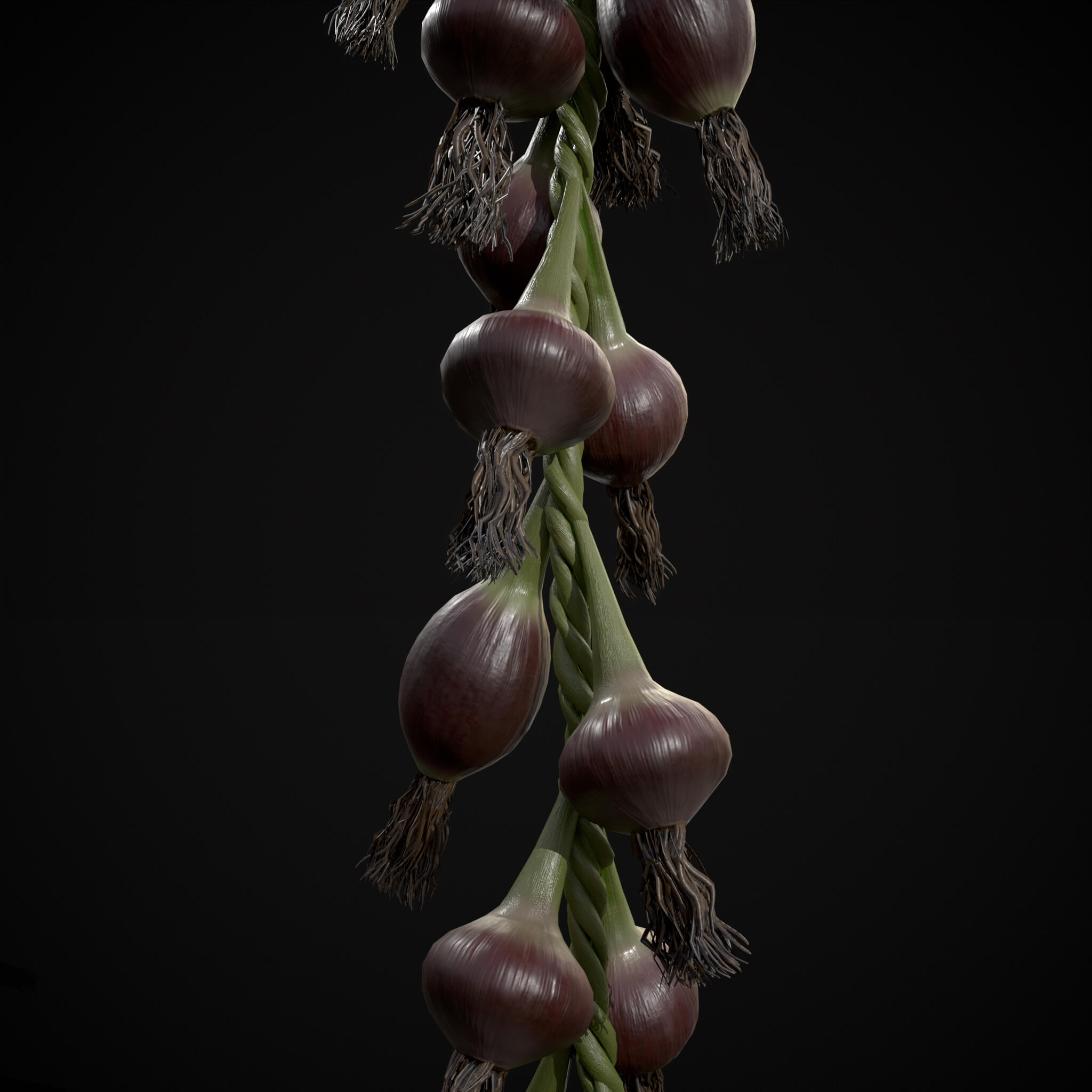Hanging Red Onions - 3D Model by Get Dead Entertainment