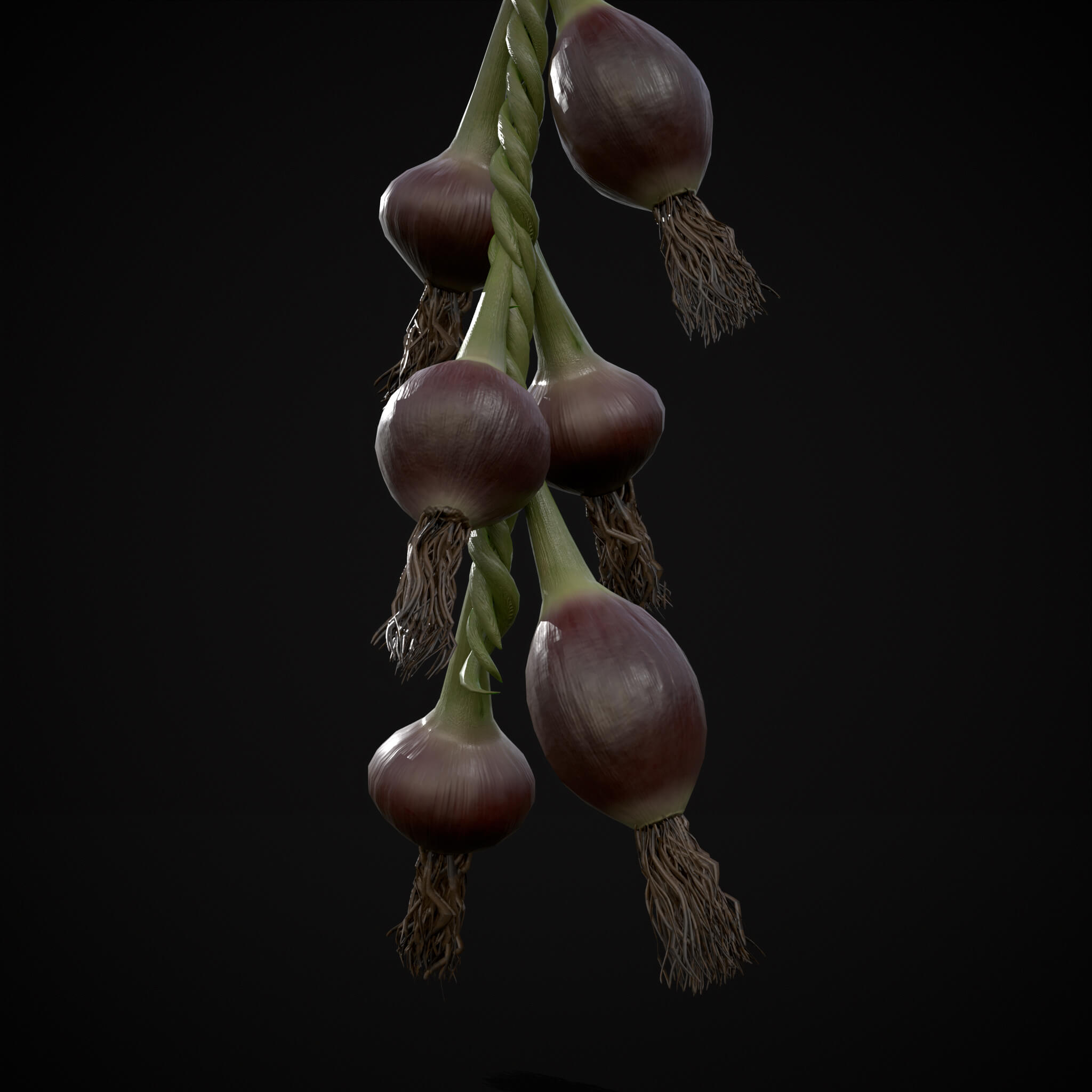 Hanging Red Onions - 3D Model by Get Dead Entertainment