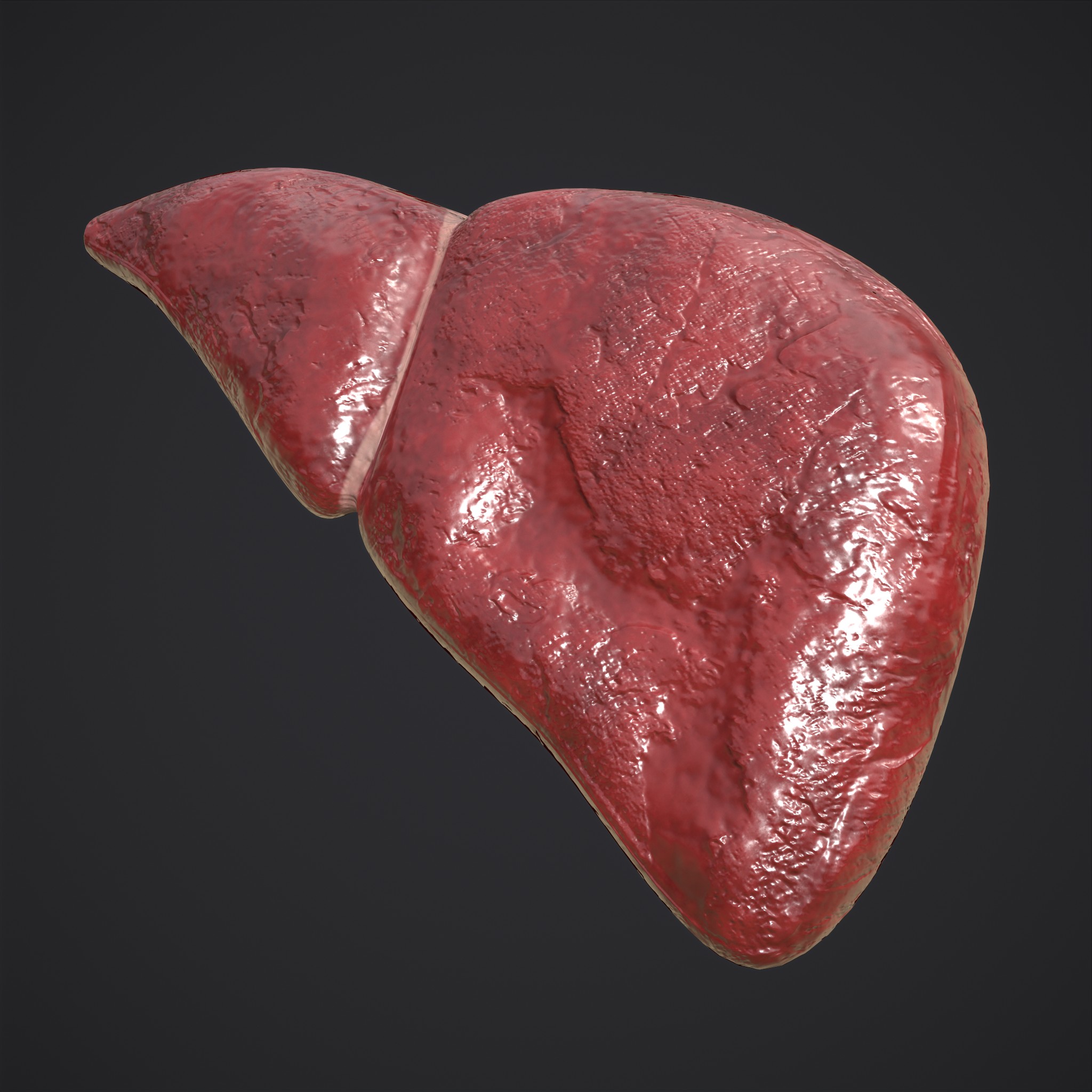 Real Healthy Human Liver