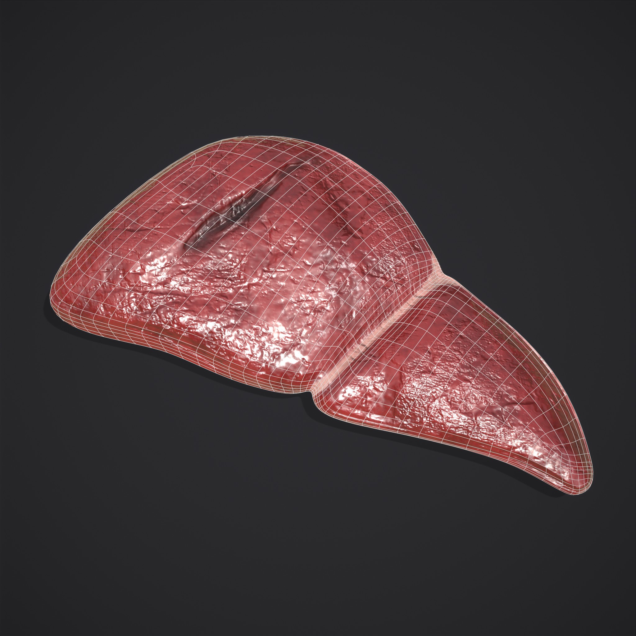 Human Liver Models - 3D Model by Get Dead Entertainment