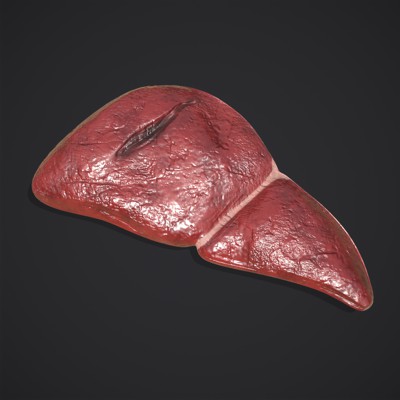 Real Liver